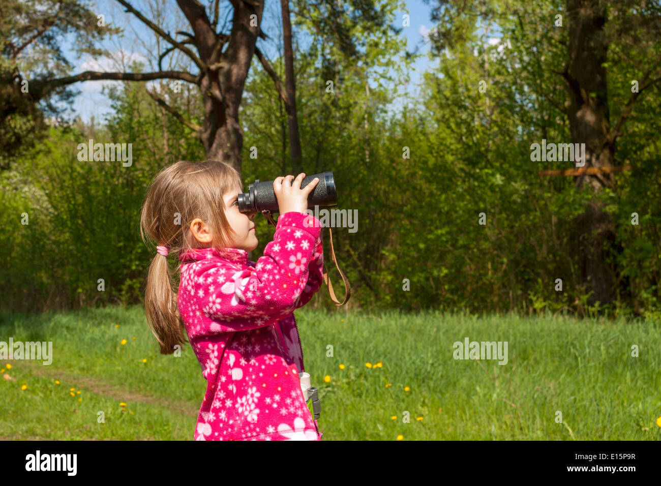 Girl watching birds through binoculars in a forest Stock Photo - Alamy