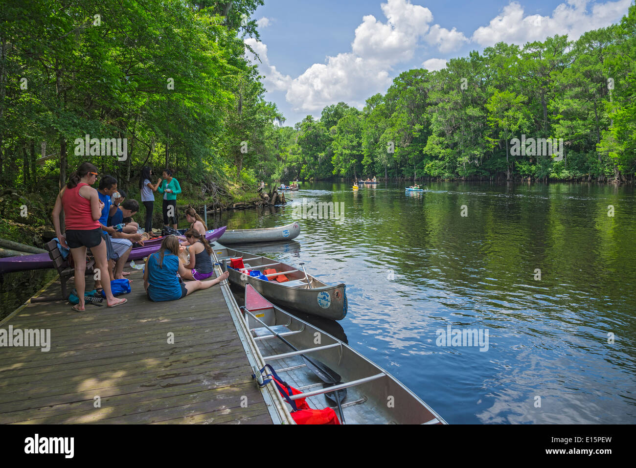 Freshwater river ecosystem hi-res stock photography and images - Alamy