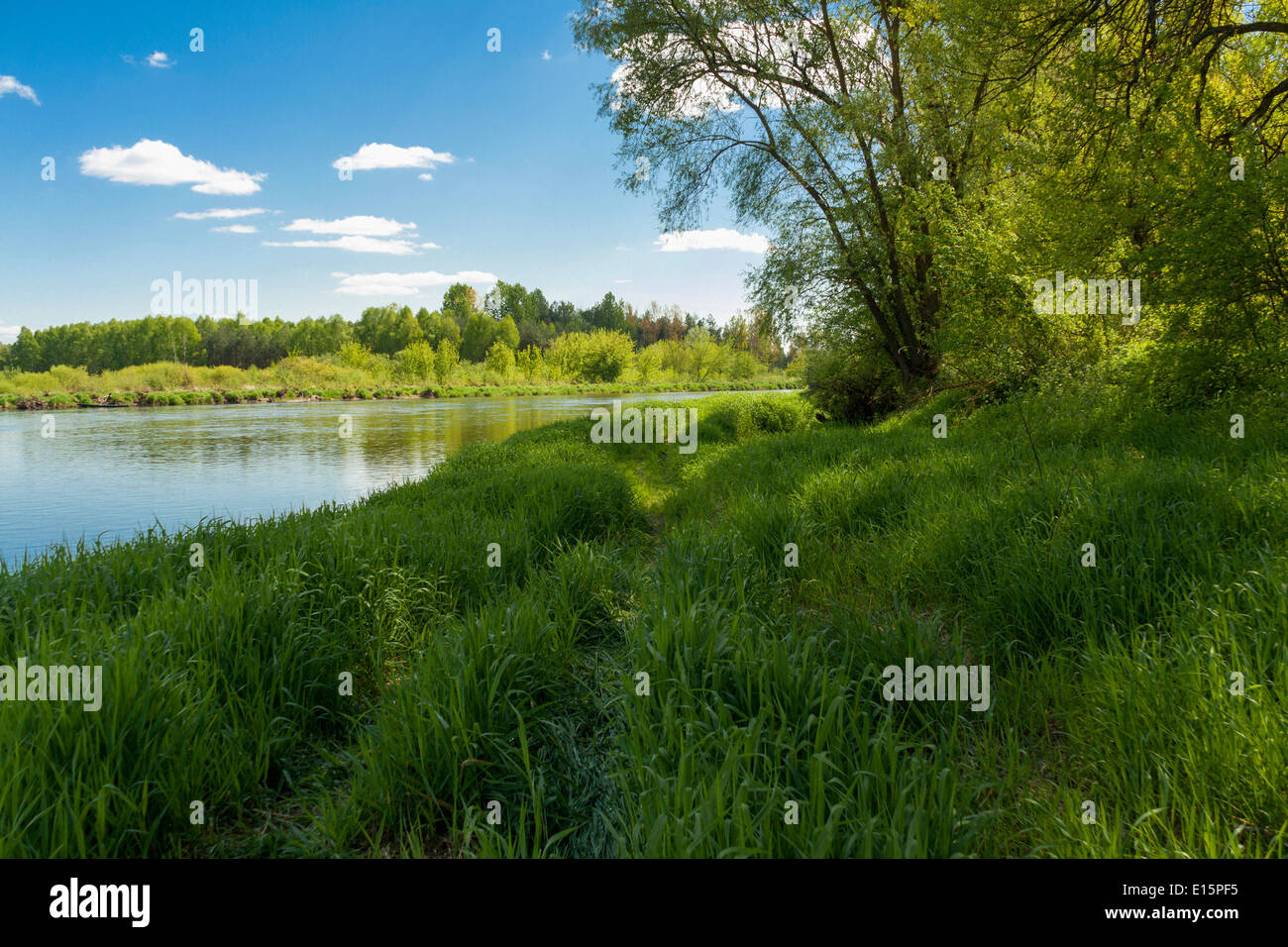 Bug river in Drohiczyn, Podlasie region, Poland Stock Photo - Alamy