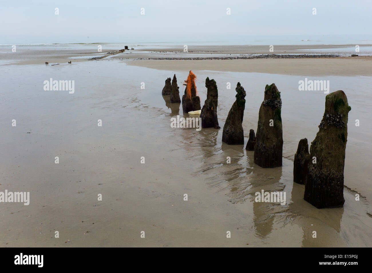 Worn wooden groyne hi-res stock photography and images - Alamy