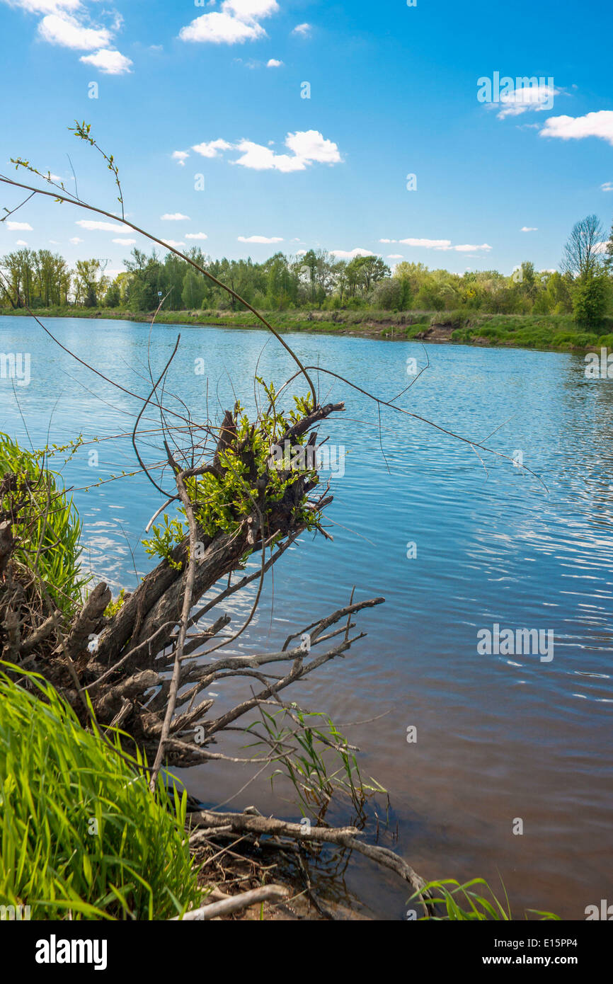 Bug river hi-res stock photography and images - Alamy