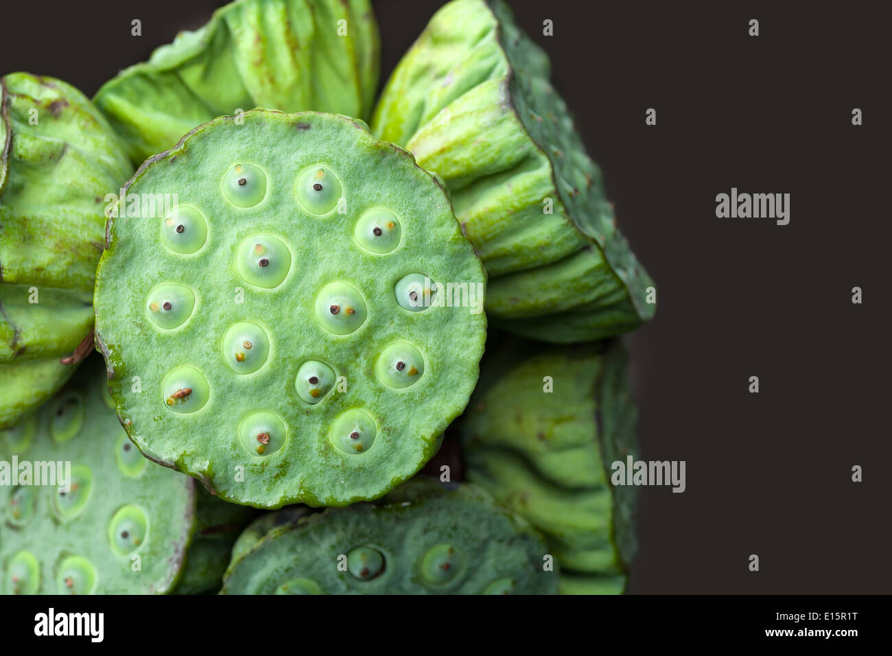 Lotus seed pod in hi-res stock photography and images - Alamy