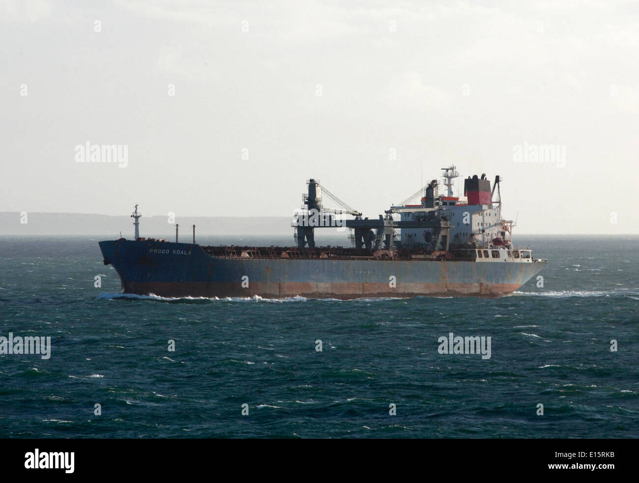 Probo koala hi-res stock photography and images - Alamy