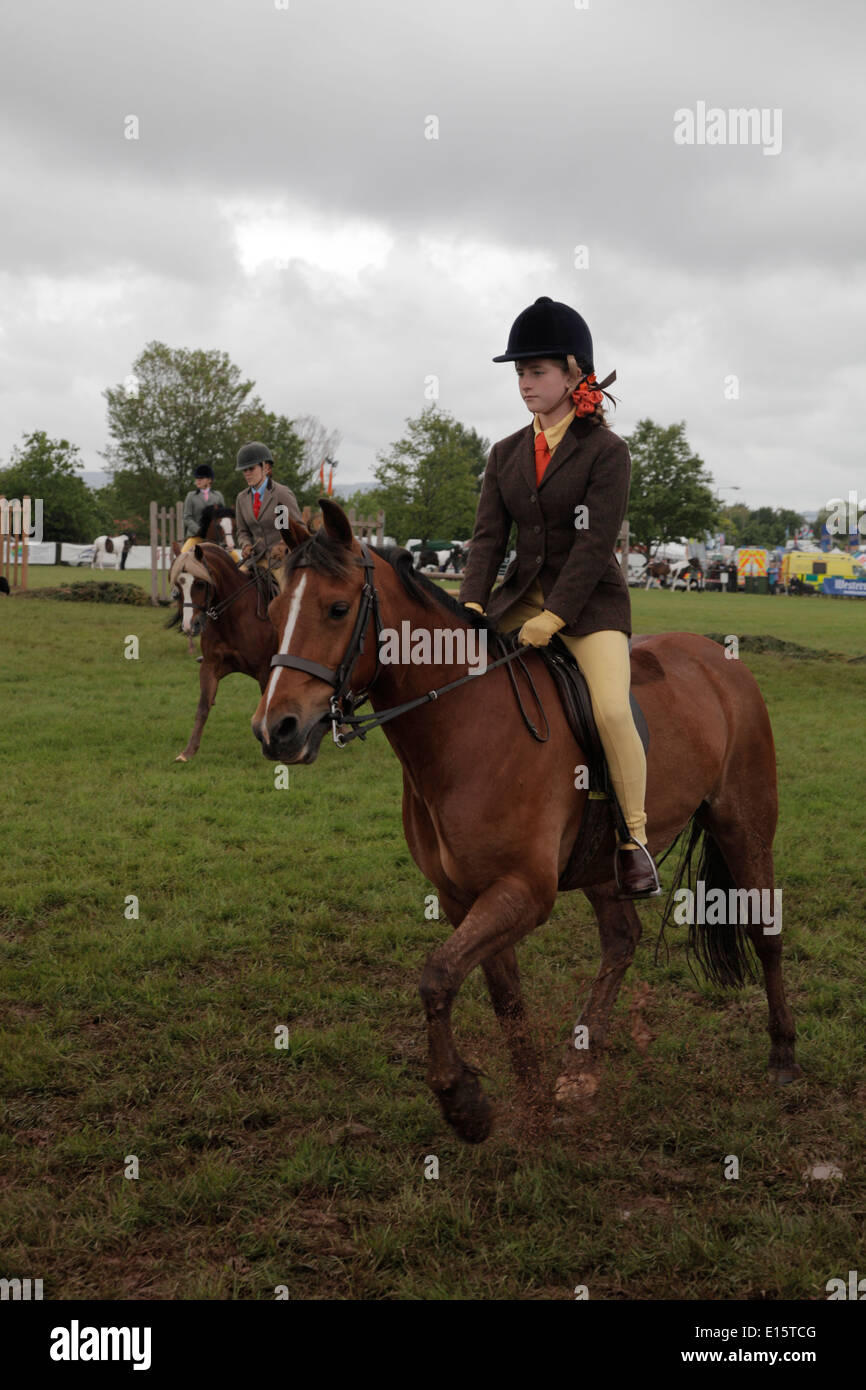 Show pony hi-res stock photography and images - Alamy