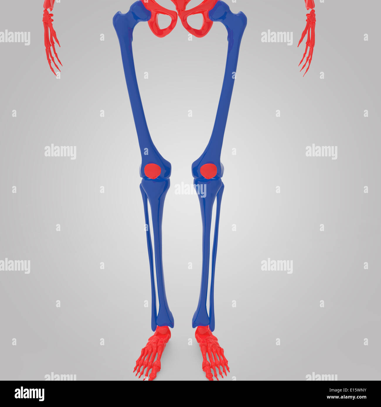 Movements of knee joint hi-res stock photography and images - Alamy