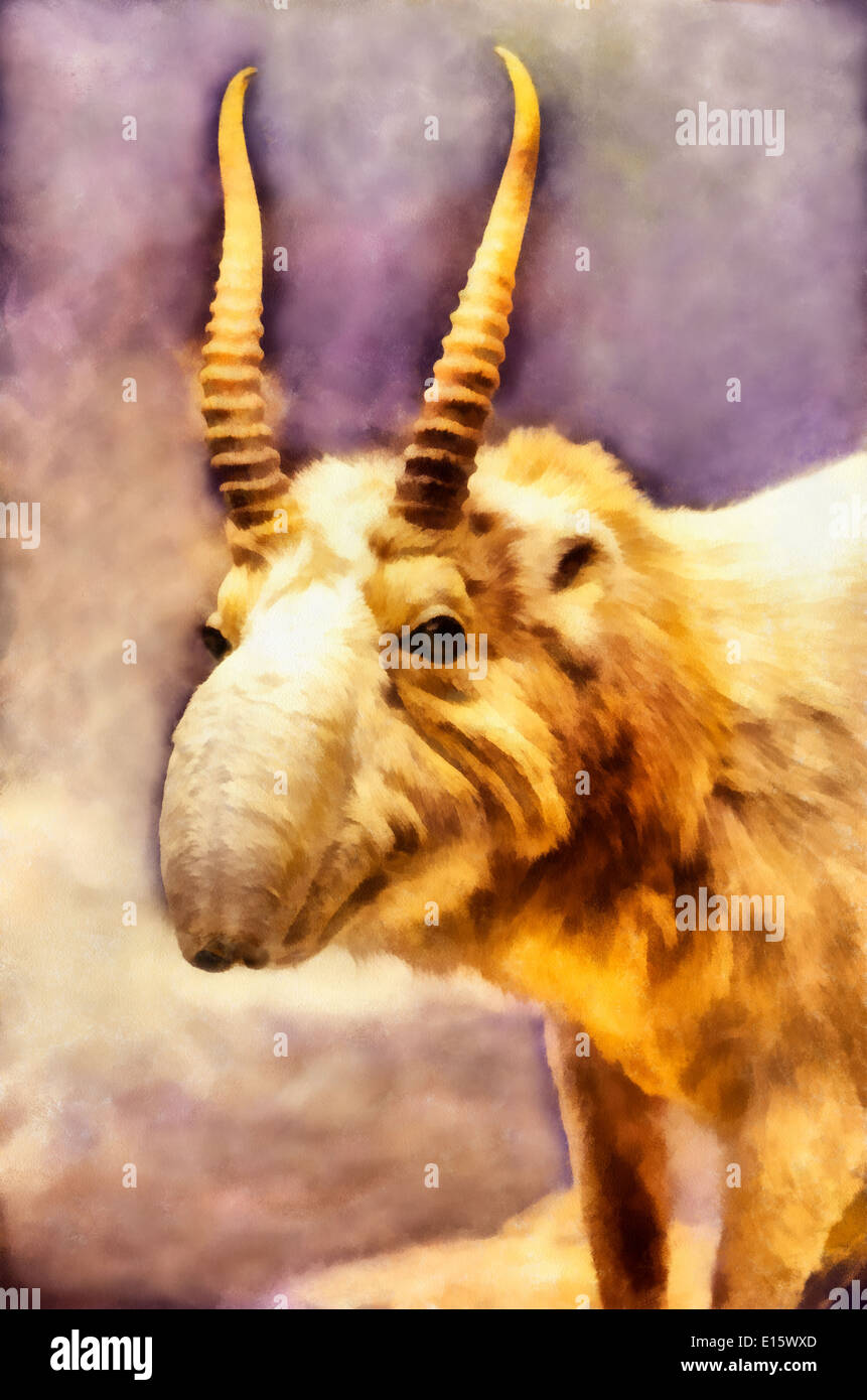 Saigak antelope or (Latin Saiga tatarica ) - cloven-hoofed mammal of ...