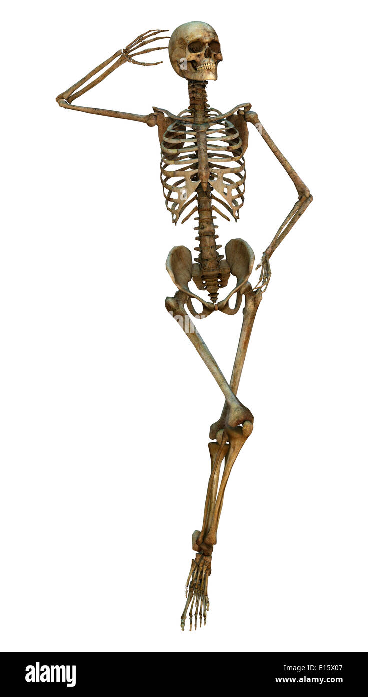 3D digital render of an old human skeleton isolated on white background ...