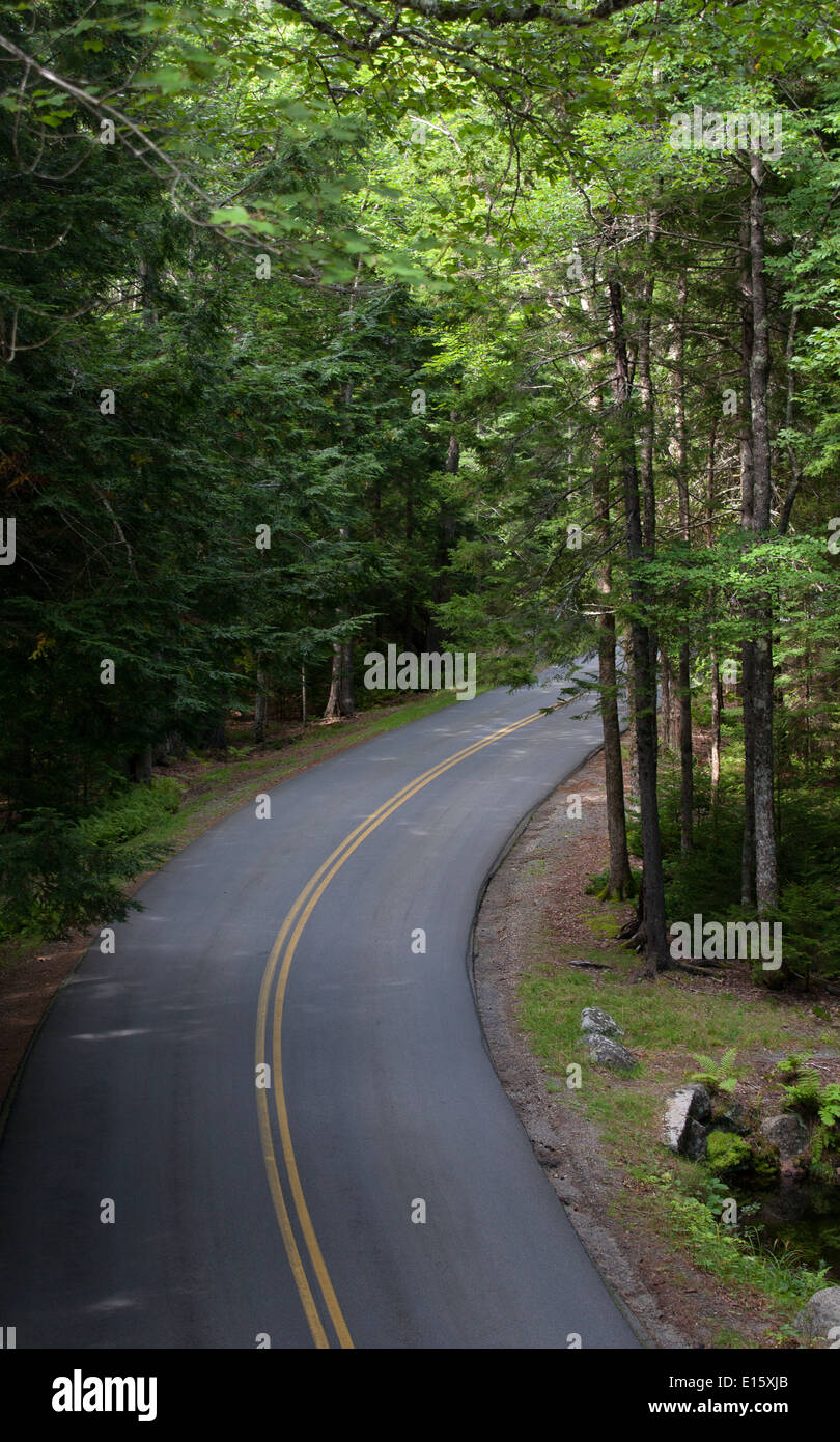 Acadia National Park – September 7, 2013: A modern road winds through ...