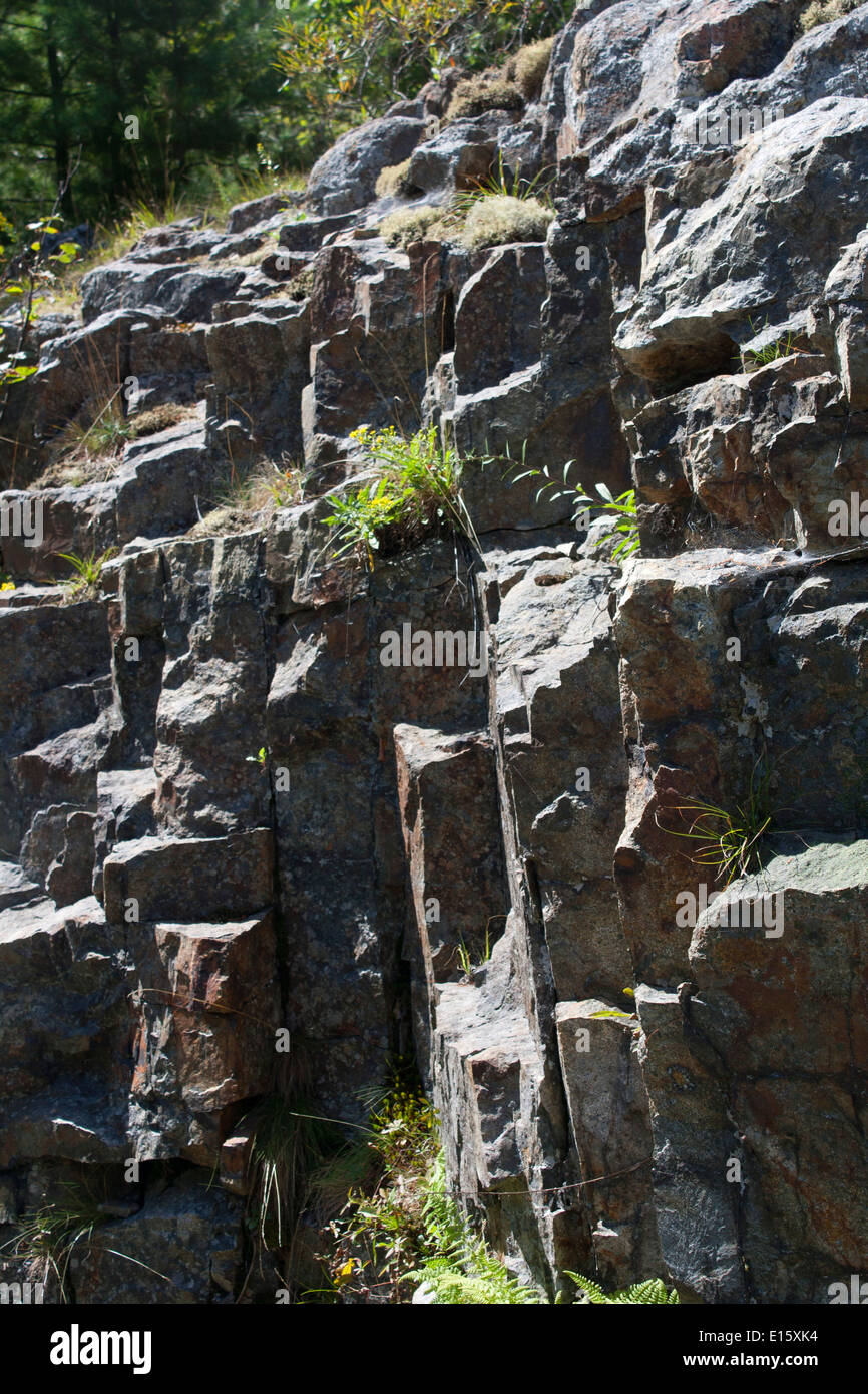 Acadia National Park – September 9, 2013: Small granite cliffs sit ...