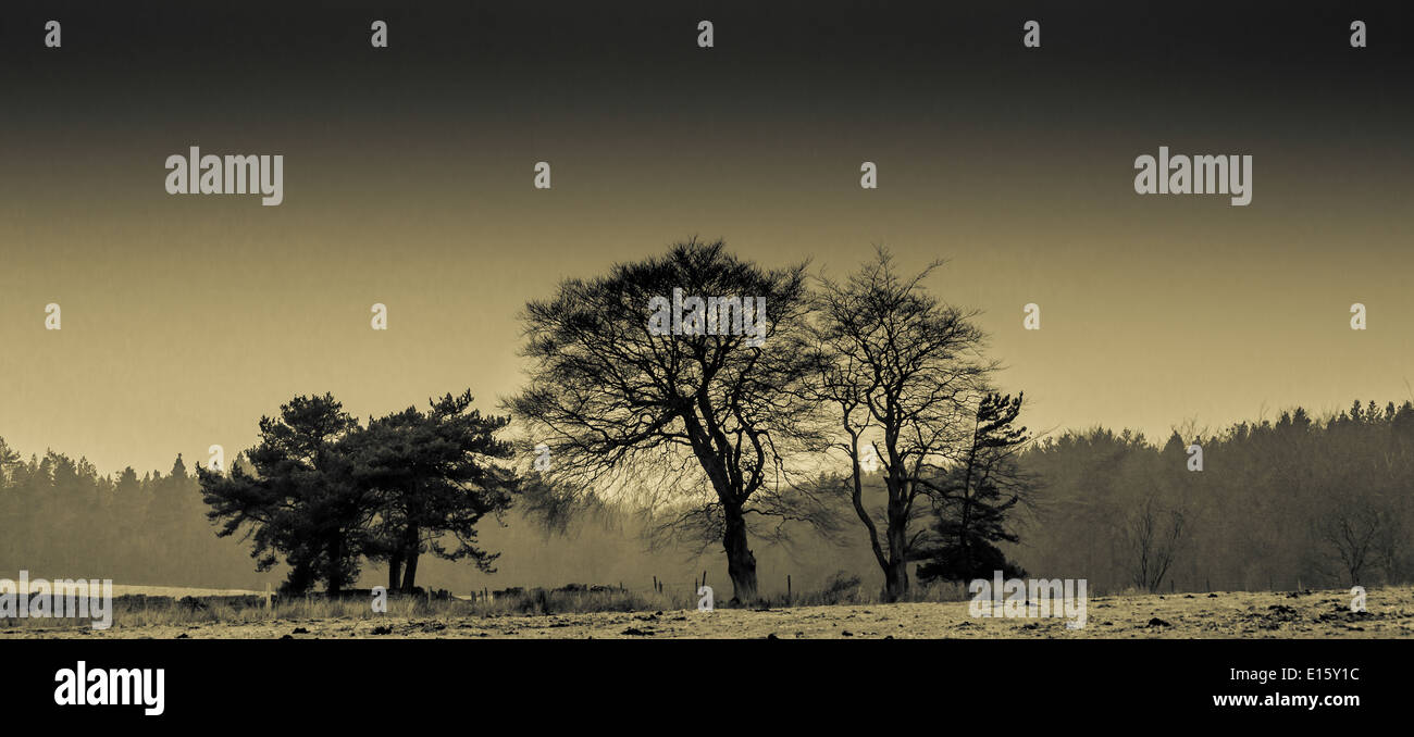 Sad dark silhouette hi-res stock photography and images - Alamy