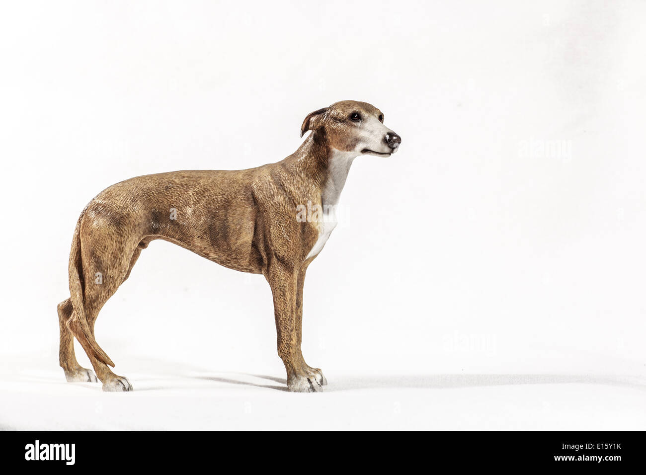 Statue of greyhound hi-res stock photography and images - Alamy