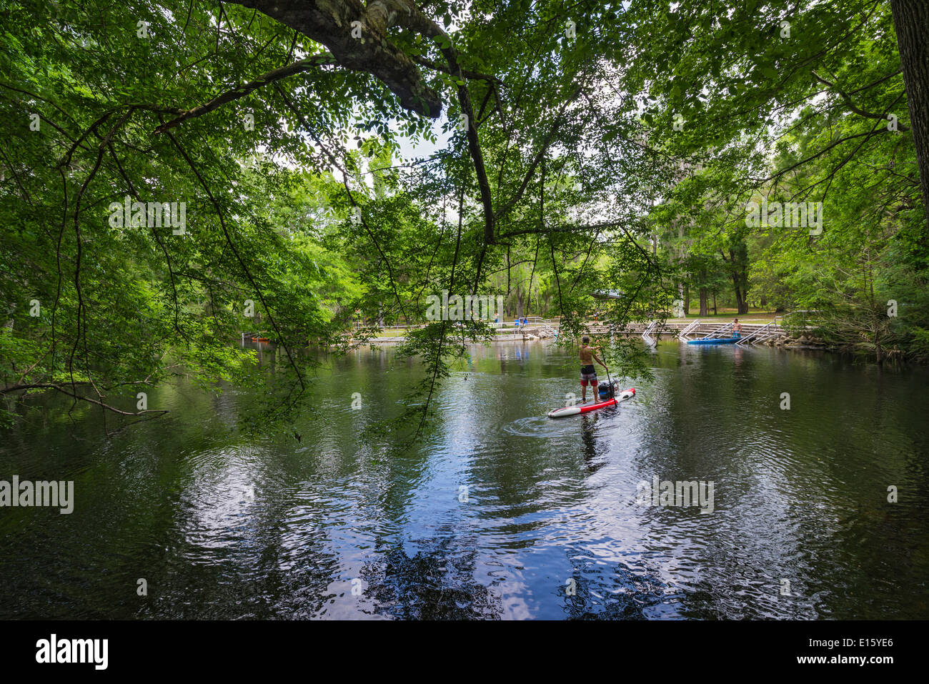 Florida poe springs park hi-res stock photography and images - Alamy