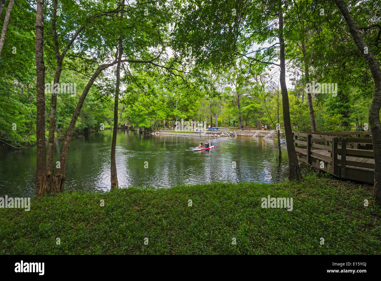 Florida poe springs park hi-res stock photography and images - Alamy