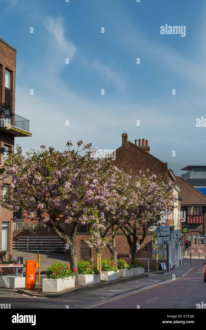 Iocn hi-res stock photography and images - Alamy