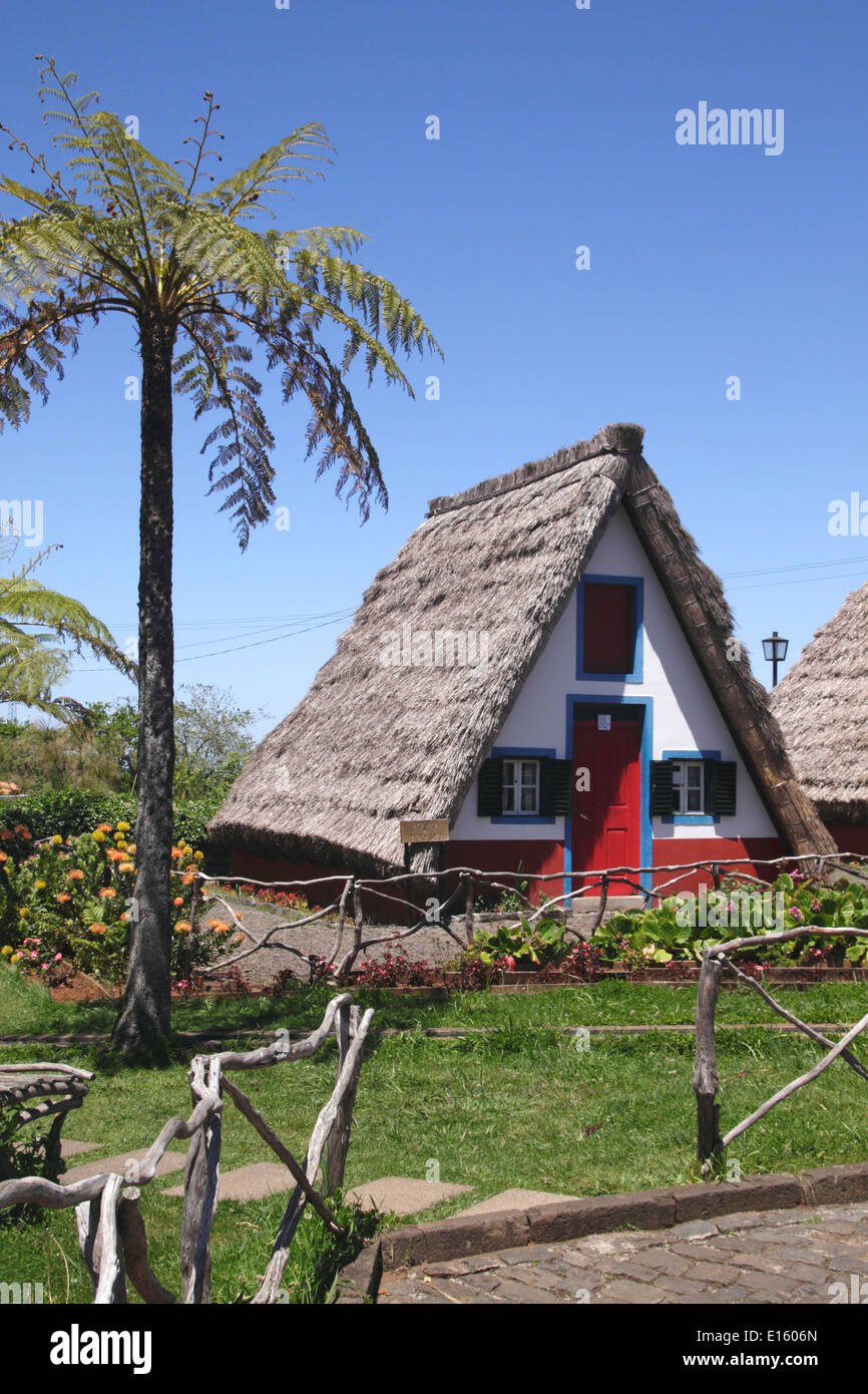 Traditional Palheiro thatched cottage Santana Madeira Stock Photo - Alamy Traditional Palheiro thatched cottage Santana Madeira Stock Photo - Alamy