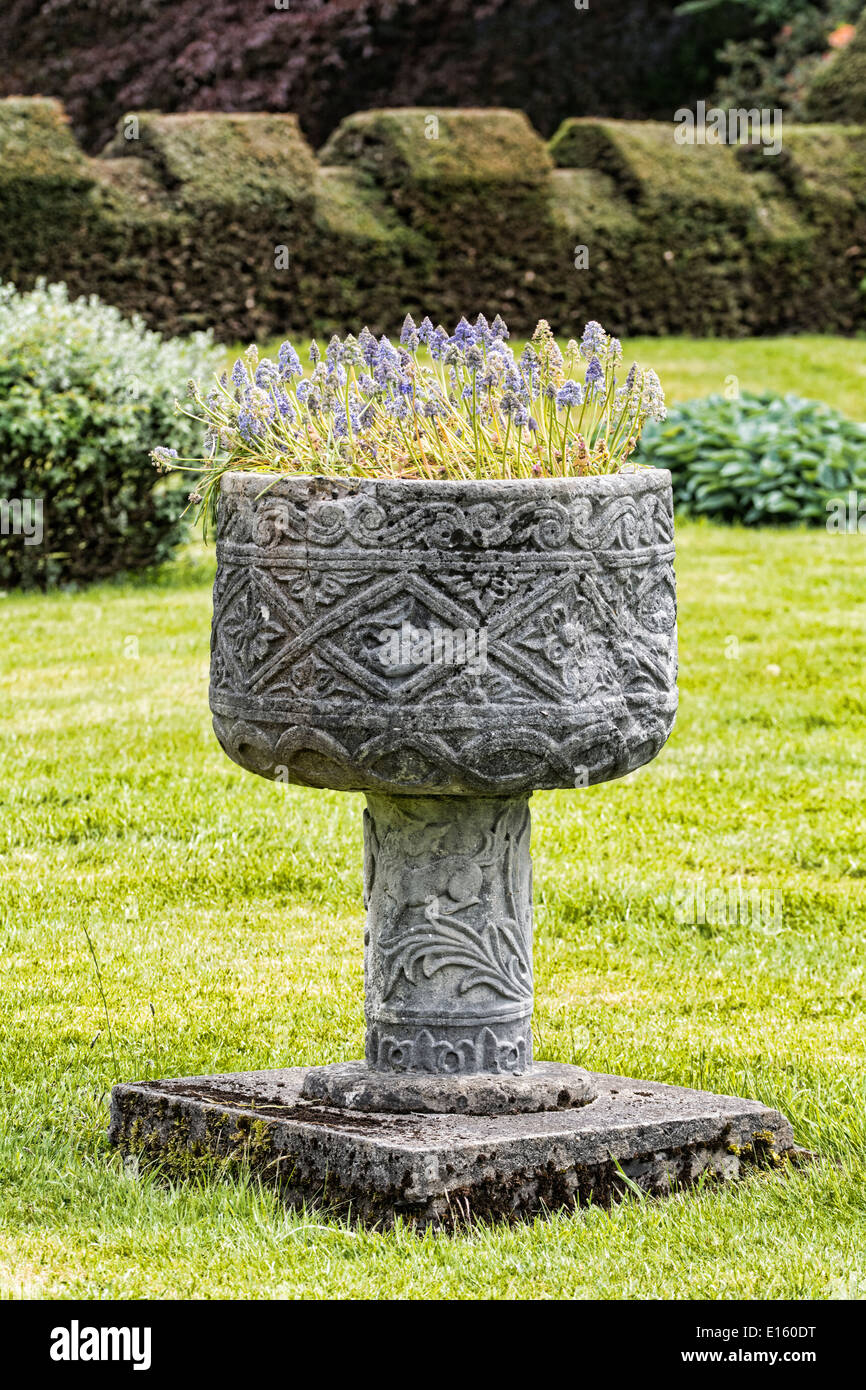 Engraved goblet hi-res stock photography and images - Alamy