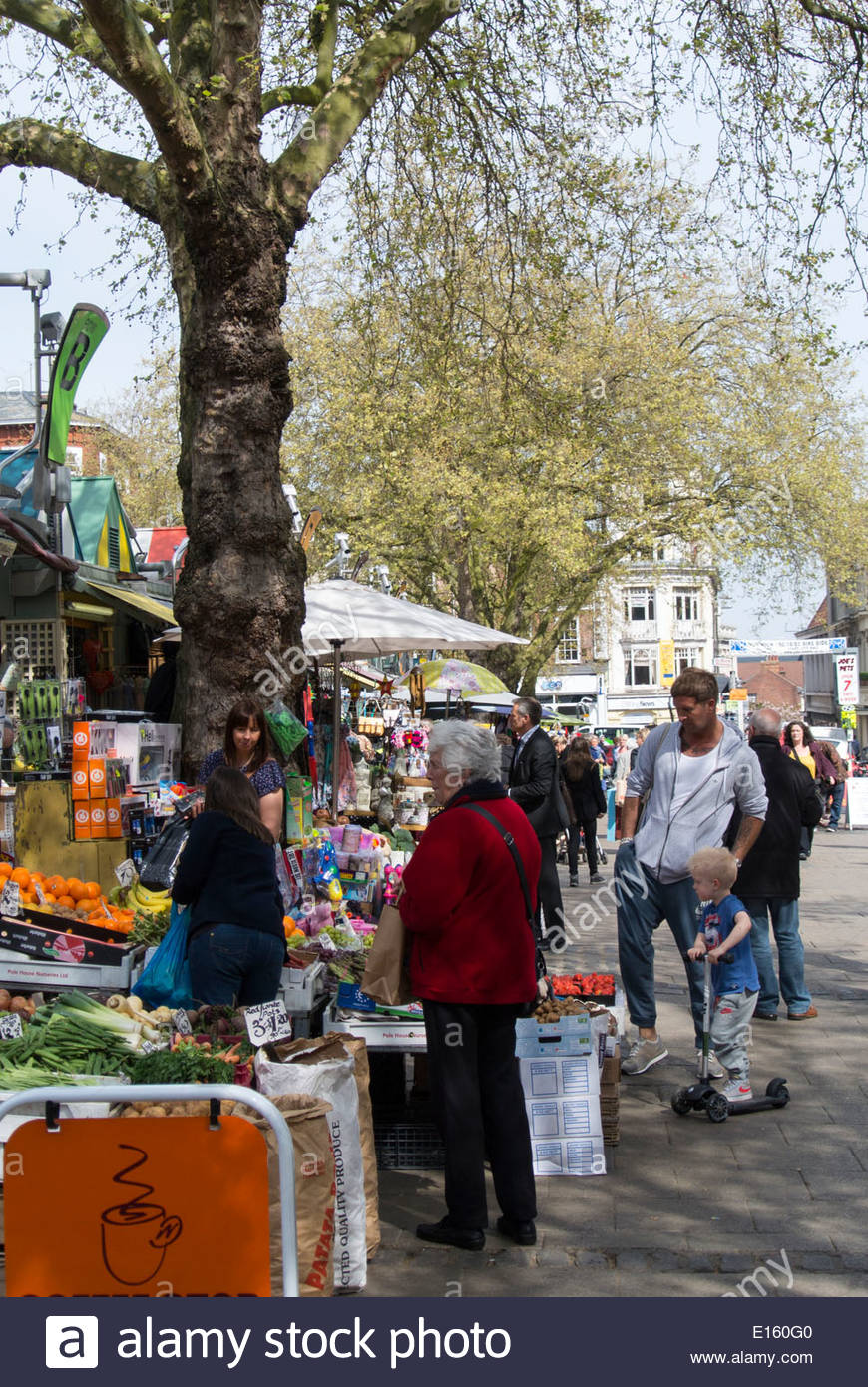 Norwich Trees High Resolution Stock Photography and Images - Alamy