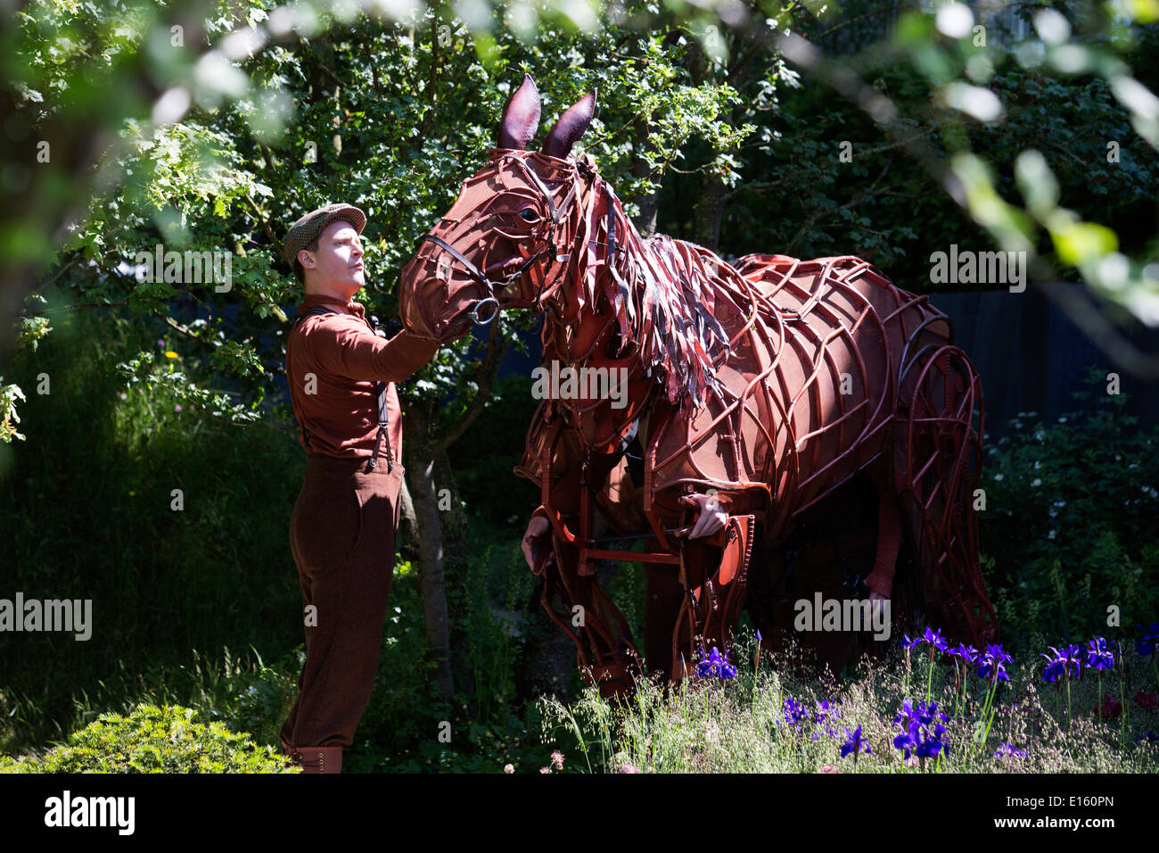 War horse theatre production puppet hi-res stock photography and images ...