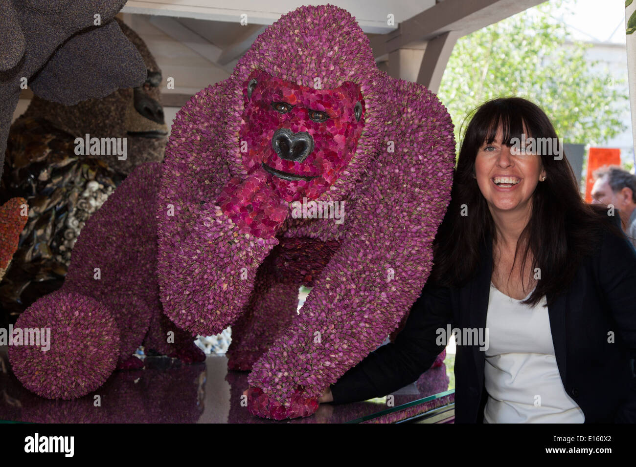 Designer Fiona Jackson in front of a decorated gorilla, RHS Chelsea ...