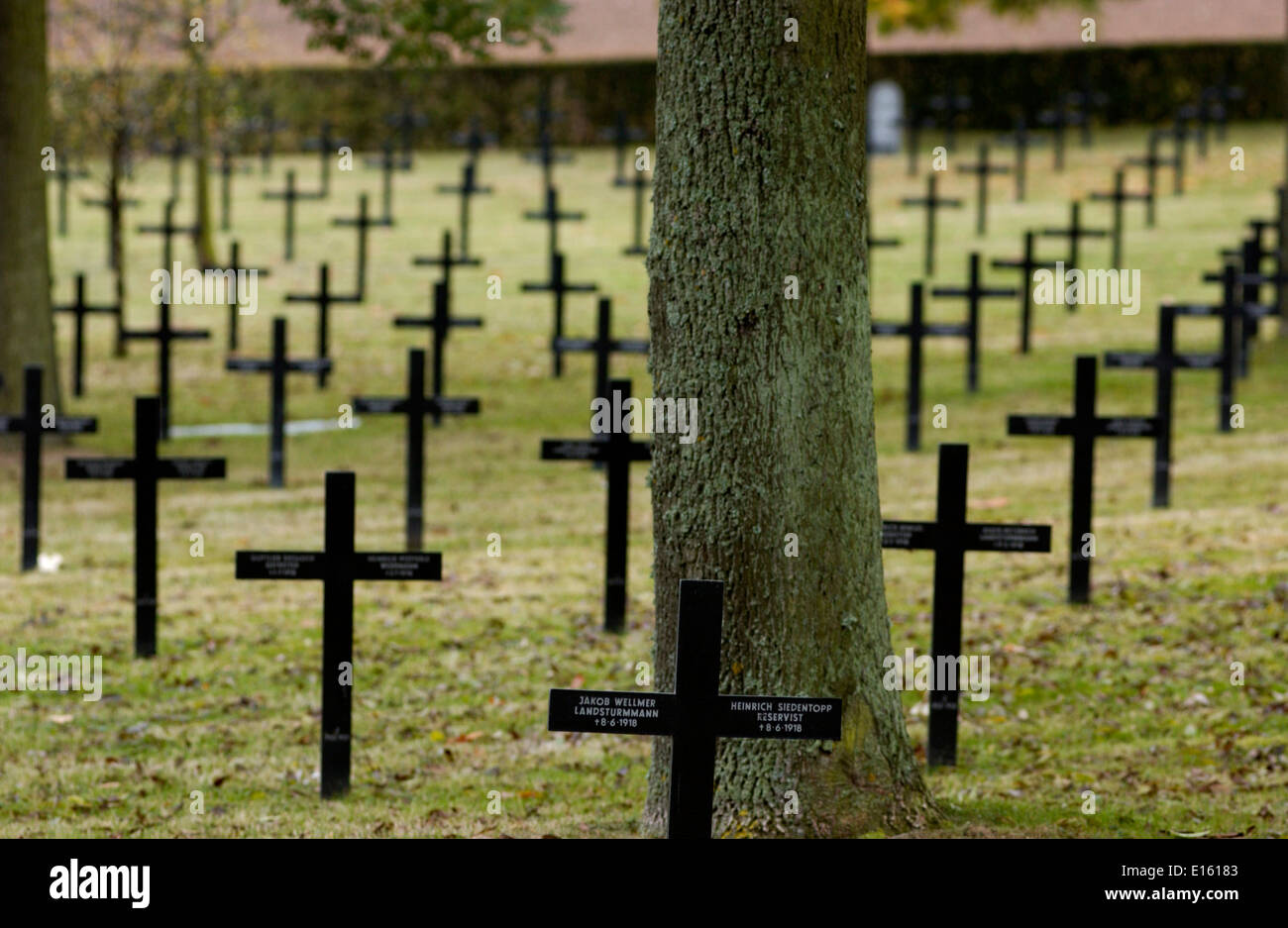 Crosses german graves hi-res stock photography and images - Alamy