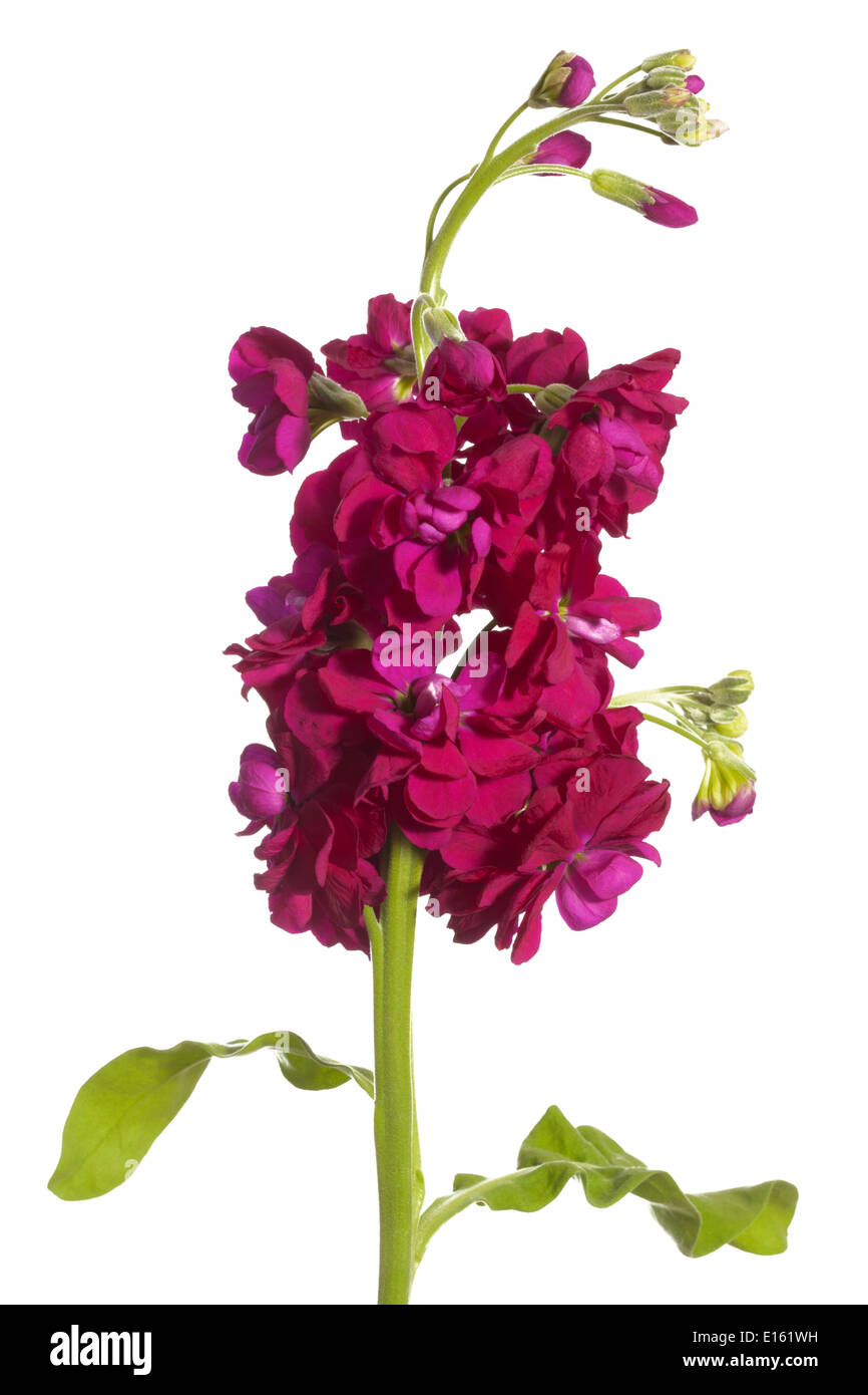 Night stocks hi-res stock photography and images - Alamy