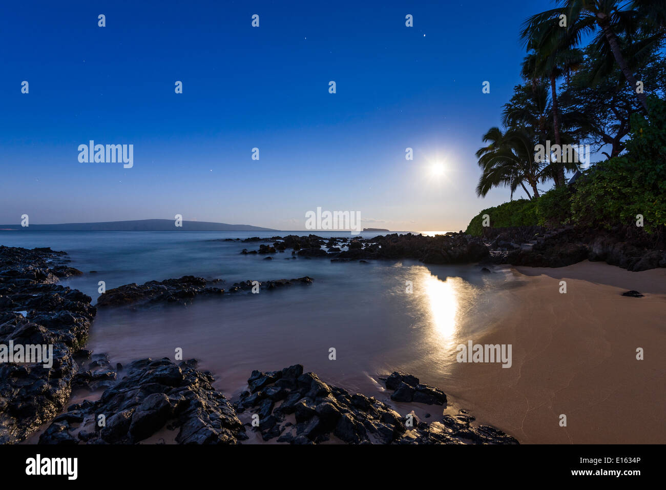 Star trails and palm trees hi-res stock photography and images - Alamy