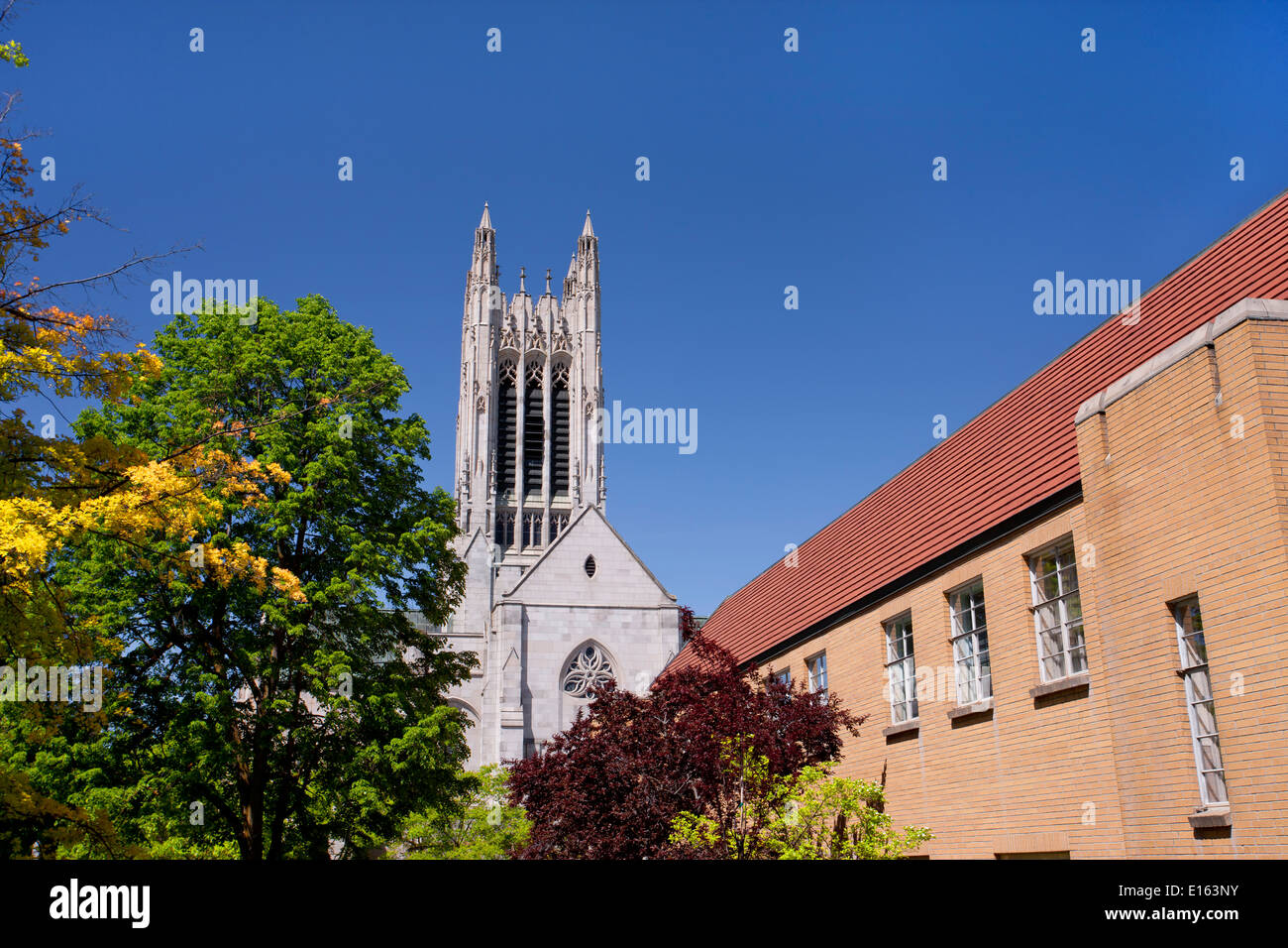 Spires tree architecture architectural building hi-res stock ...