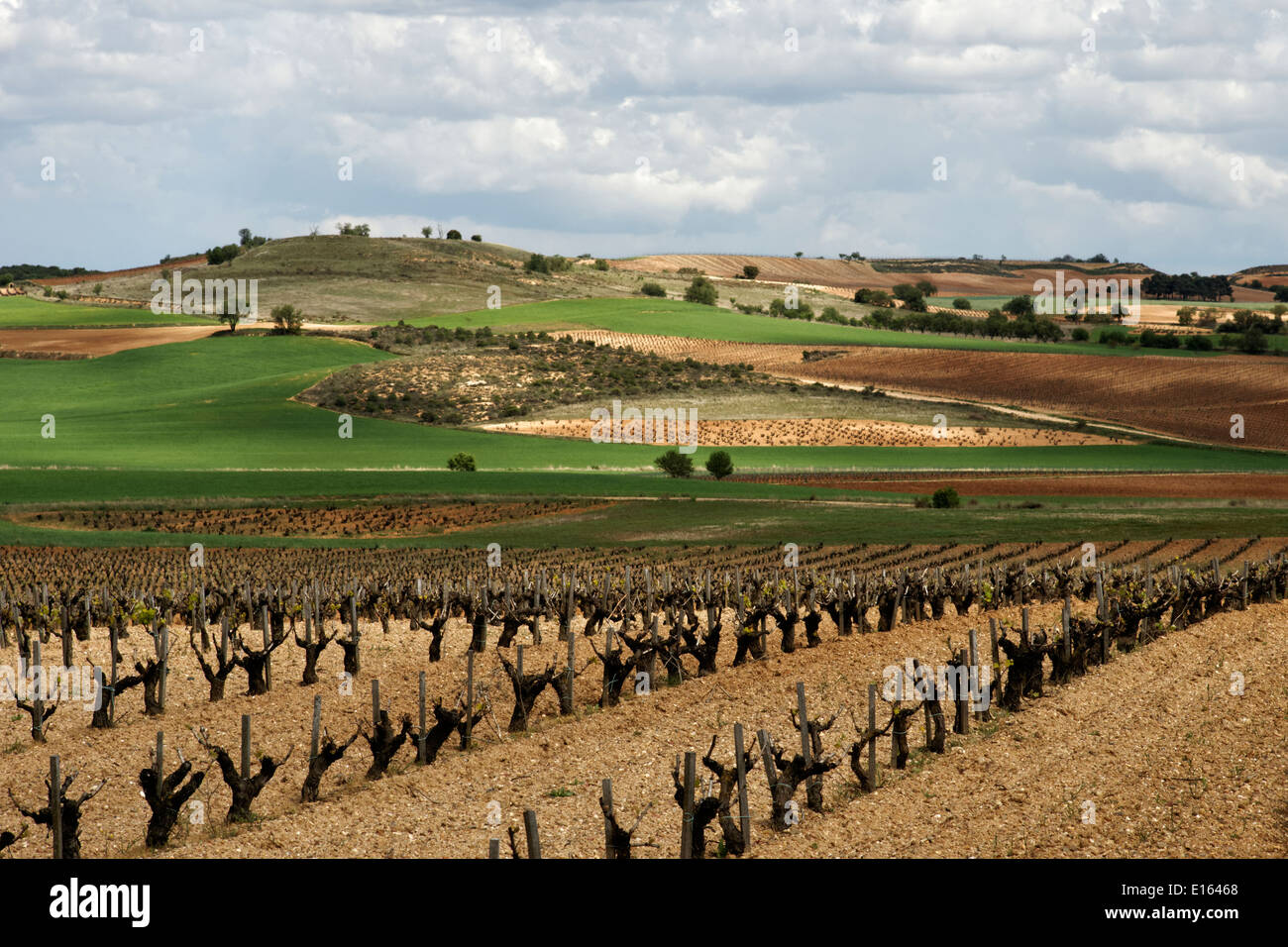 ribera del duero spain europe rural wine vine country countryside sky ...