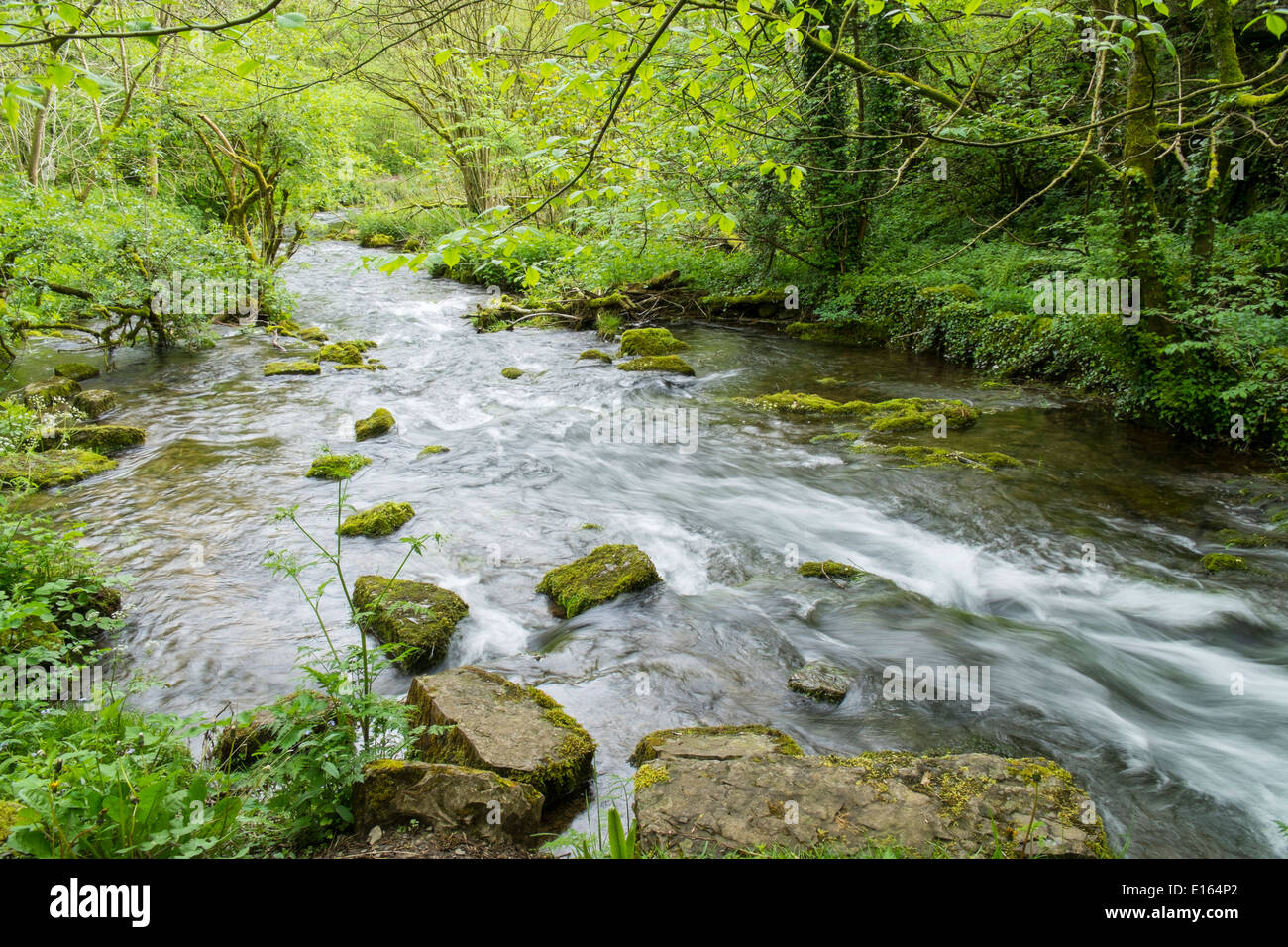 View of the River Lathkill, Lathkill dale, Peak District National Park ...