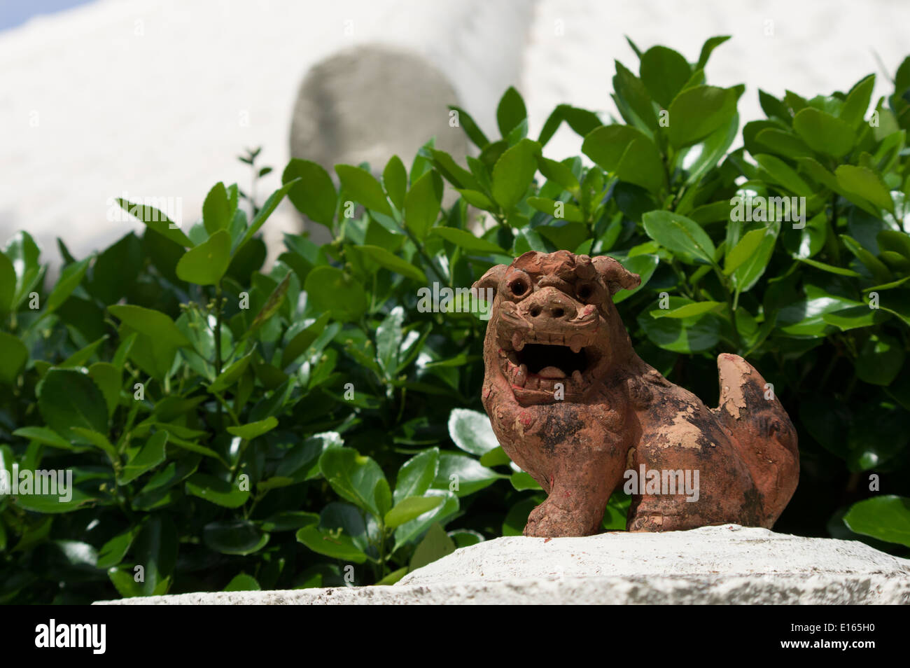 Shisa lion dog talisman on Zamami Island, Kerama Islands, Okinawa ...