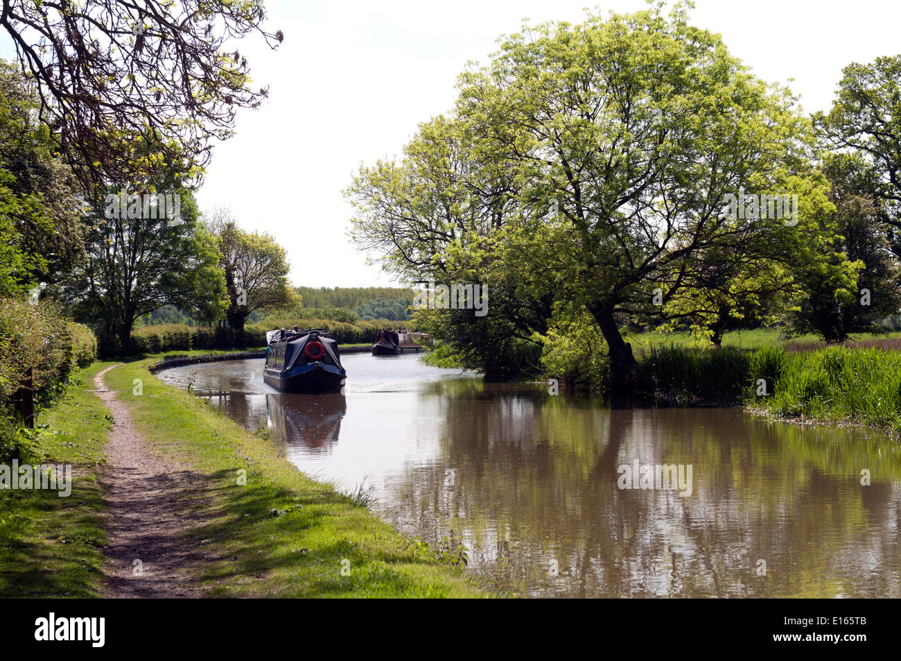 Long Buckby High Resolution Stock Photography and Images - Alamy