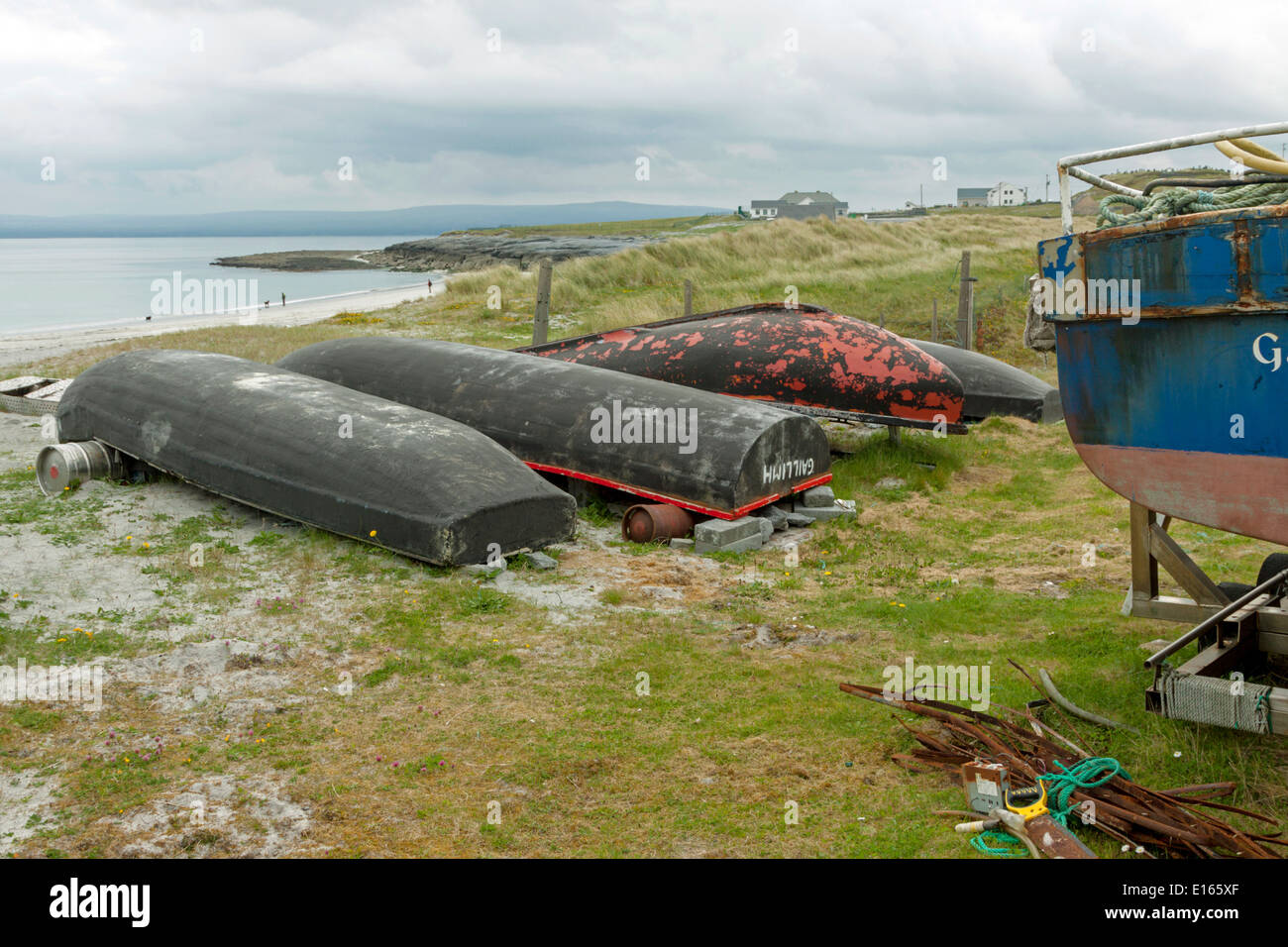 Currachs, traditional Irish fishing boats, lying upturned on Inisheer ...