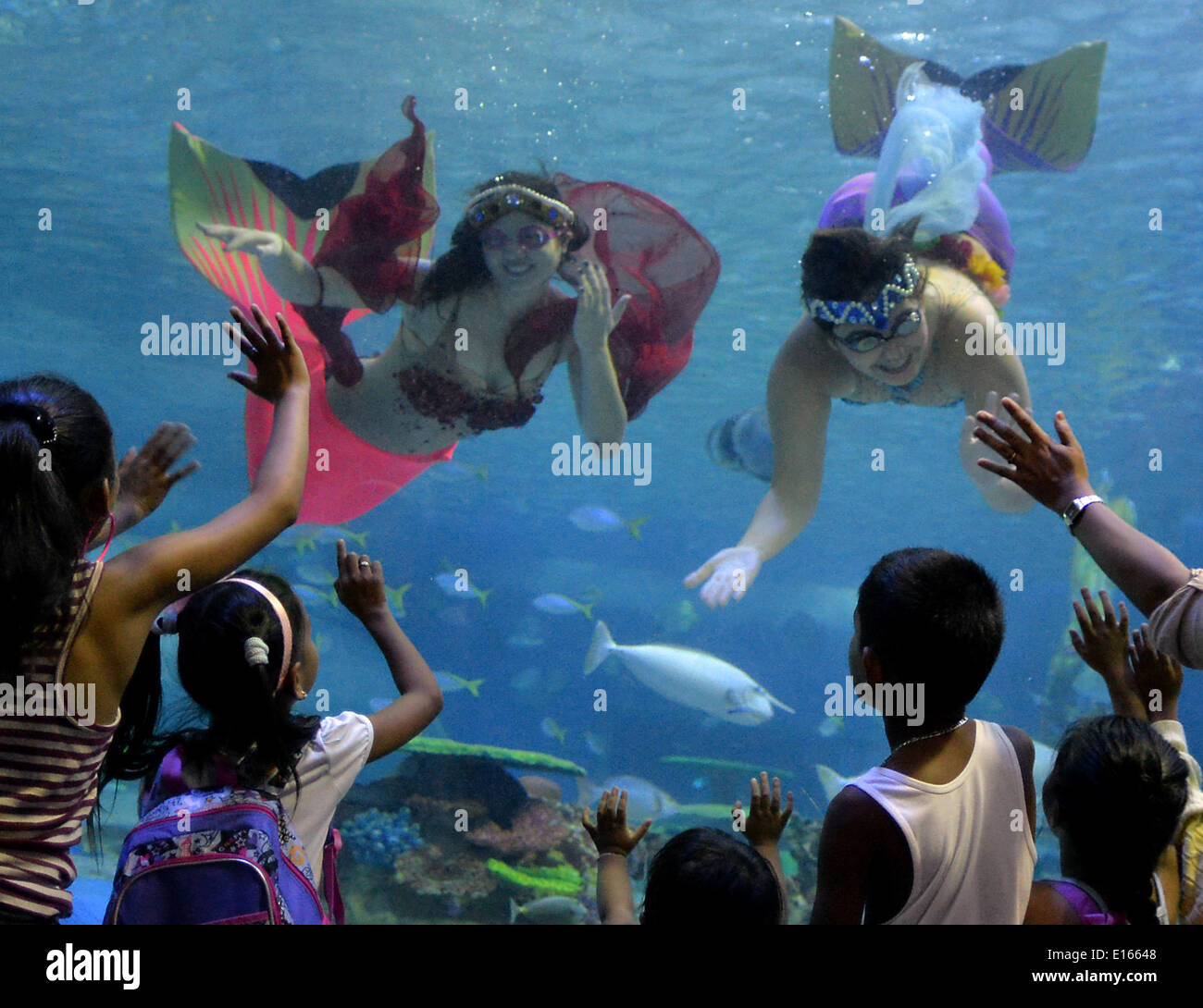 Manila, Philippines. 24th May, 2014. Divers in mermaid costumes perform ...
