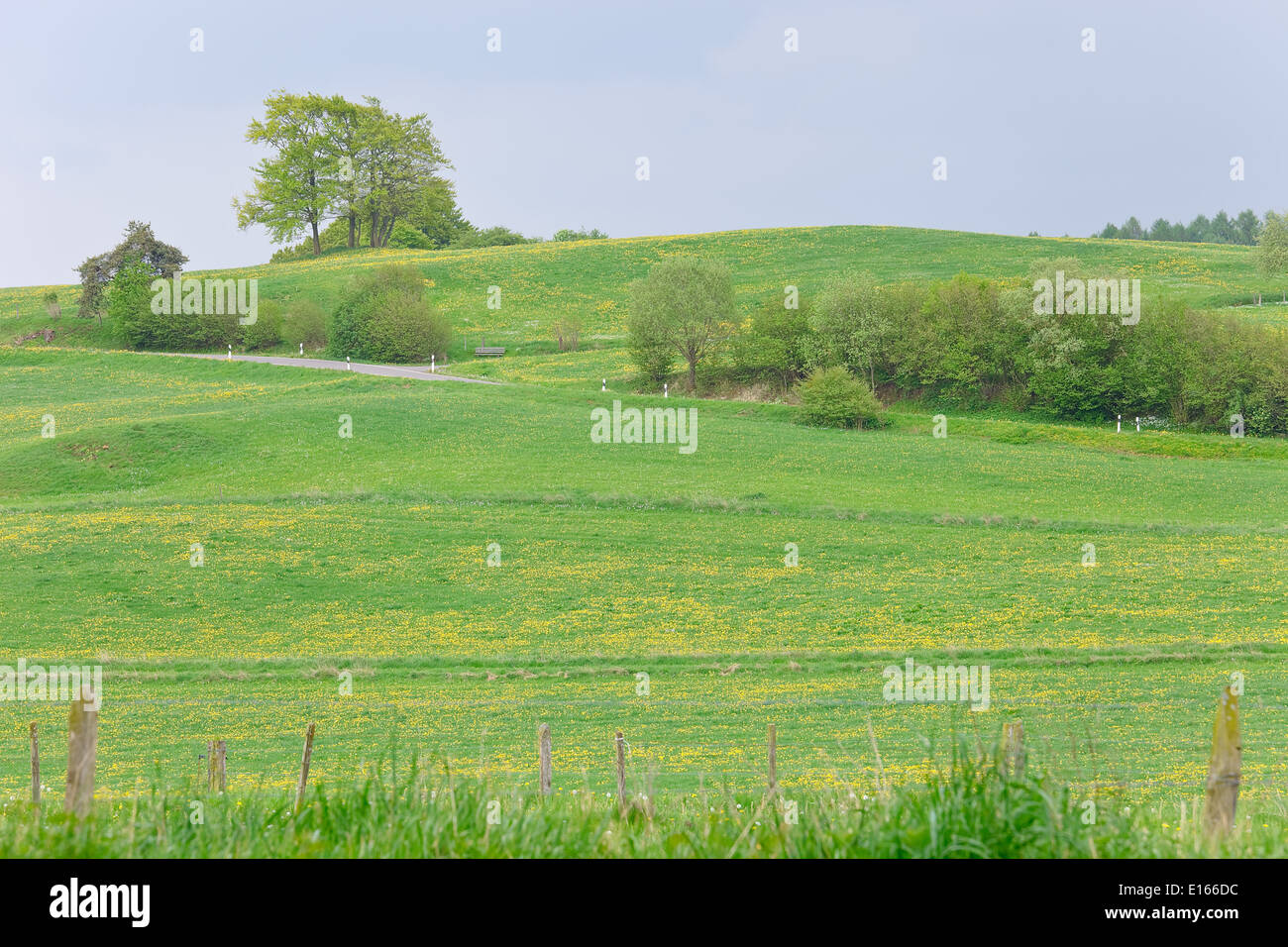Landscape with meadow Stock Photo - Alamy