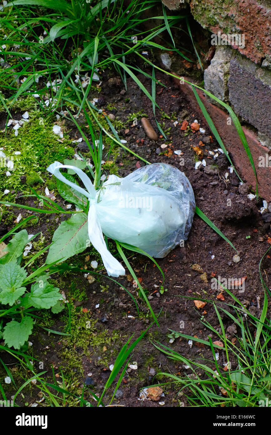 Discarded Plastic Bag of Dog Poo, UK Stock Photo - Alamy