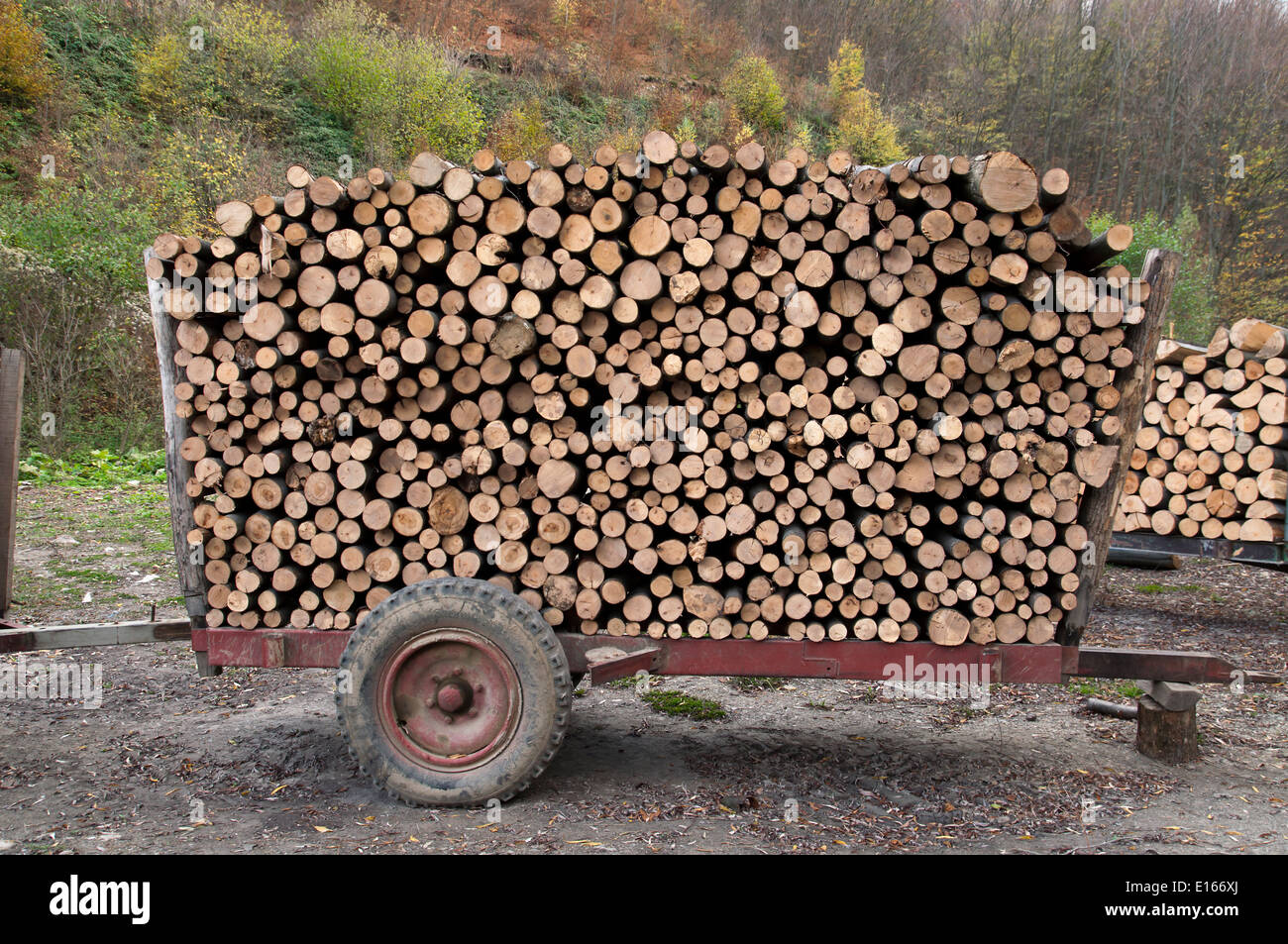 firewood on a trailer, ready for transport Stock Photo - Alamy