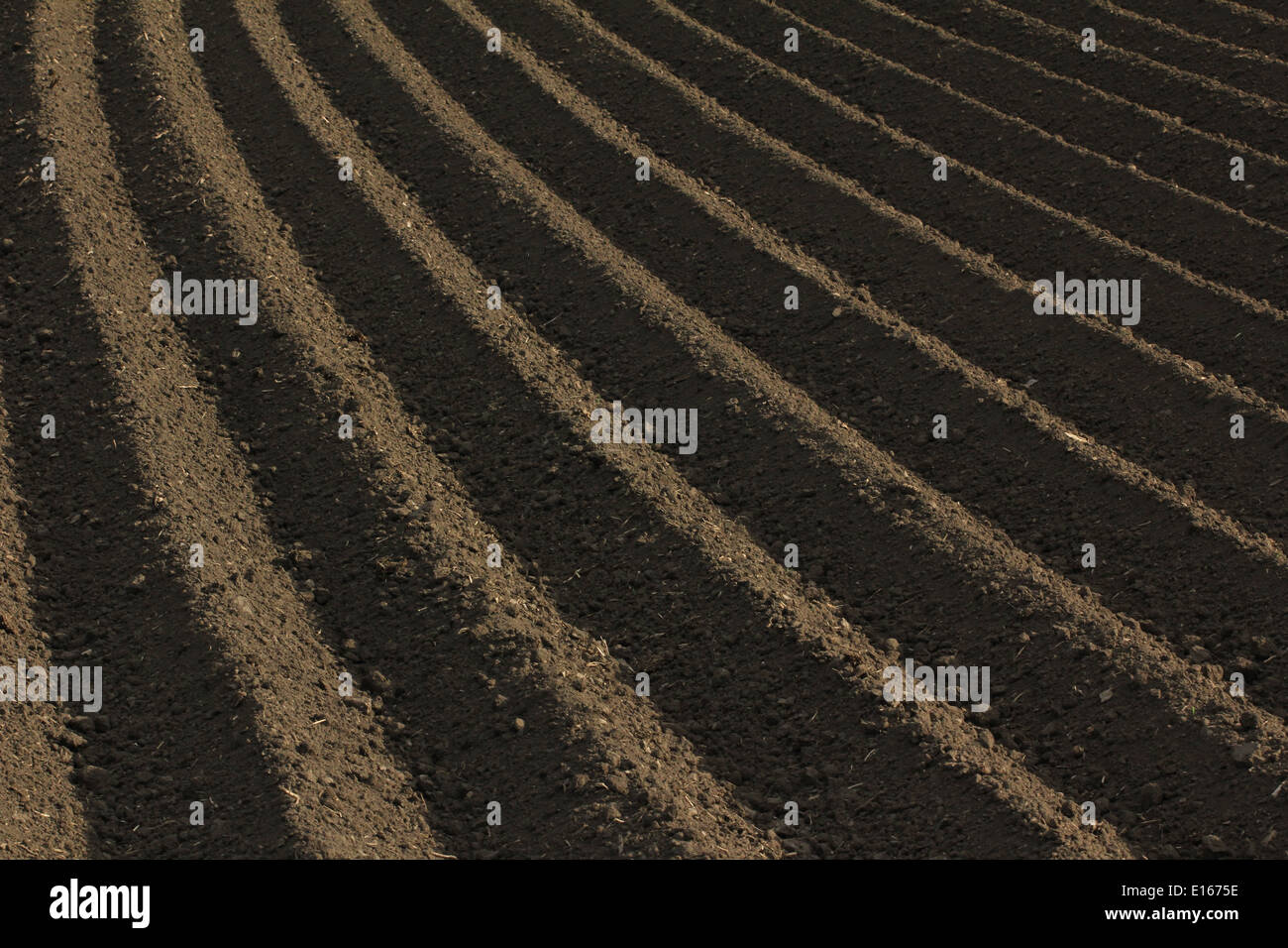 Ploughed field hi-res stock photography and images - Alamy
