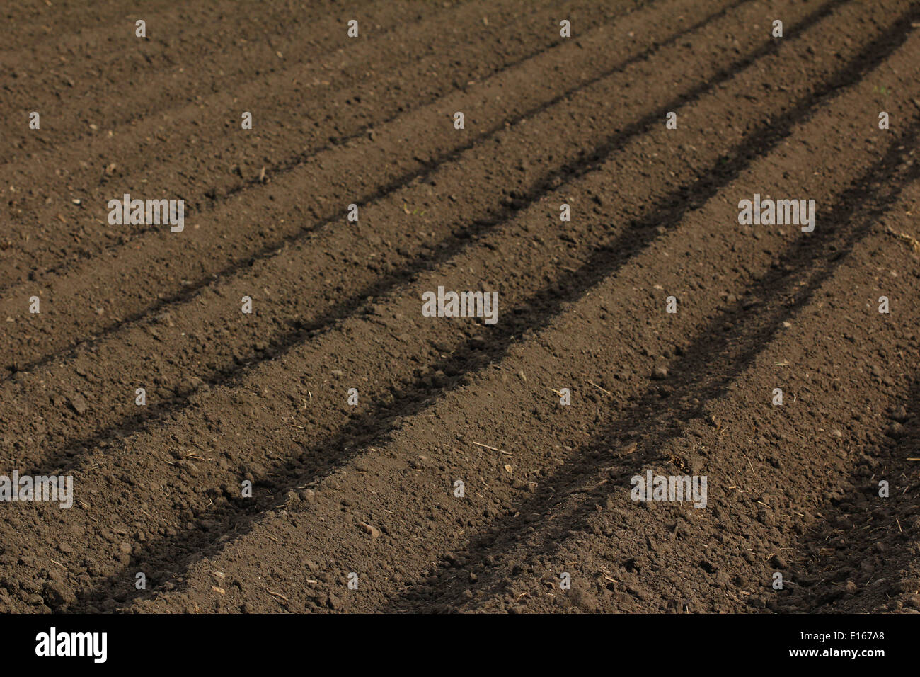 furrows in a field Stock Photo - Alamy