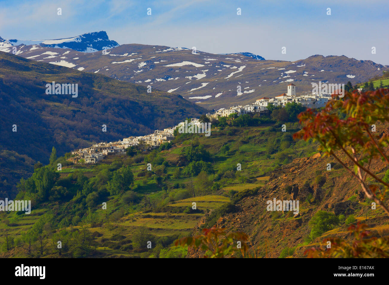 Las Alpujarras, Capileira, Alpujarras Mountains area, Granada province ...