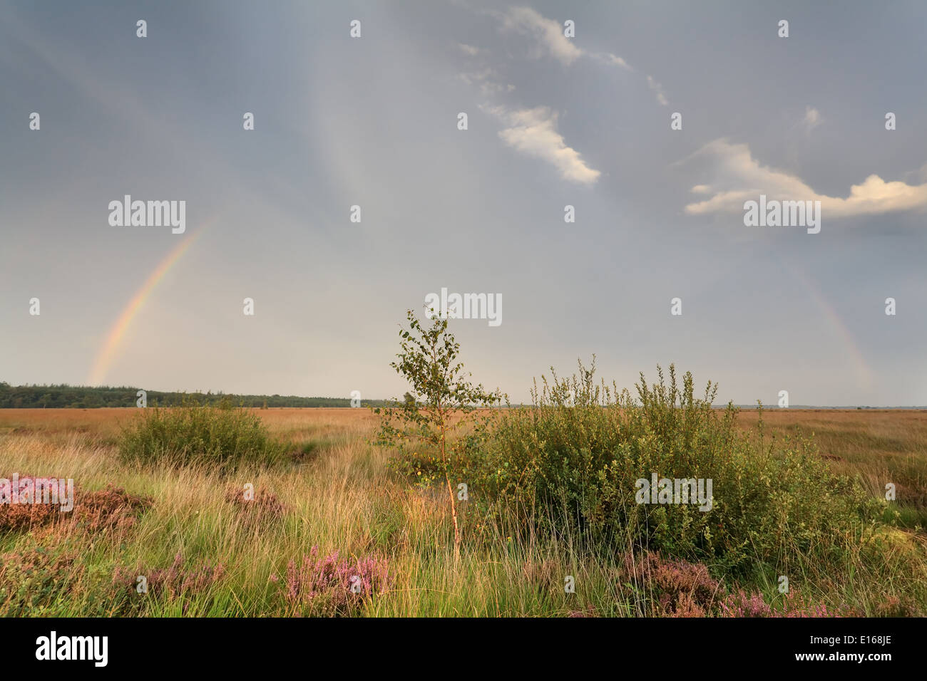 Rainbow summer weather hi-res stock photography and images - Alamy