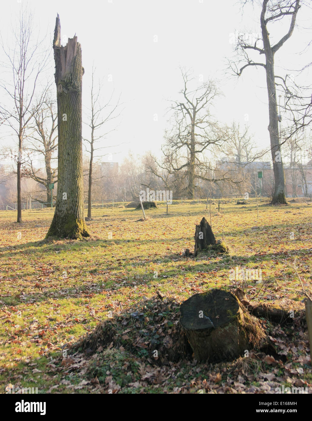 Recovering remains hi-res stock photography and images - Alamy