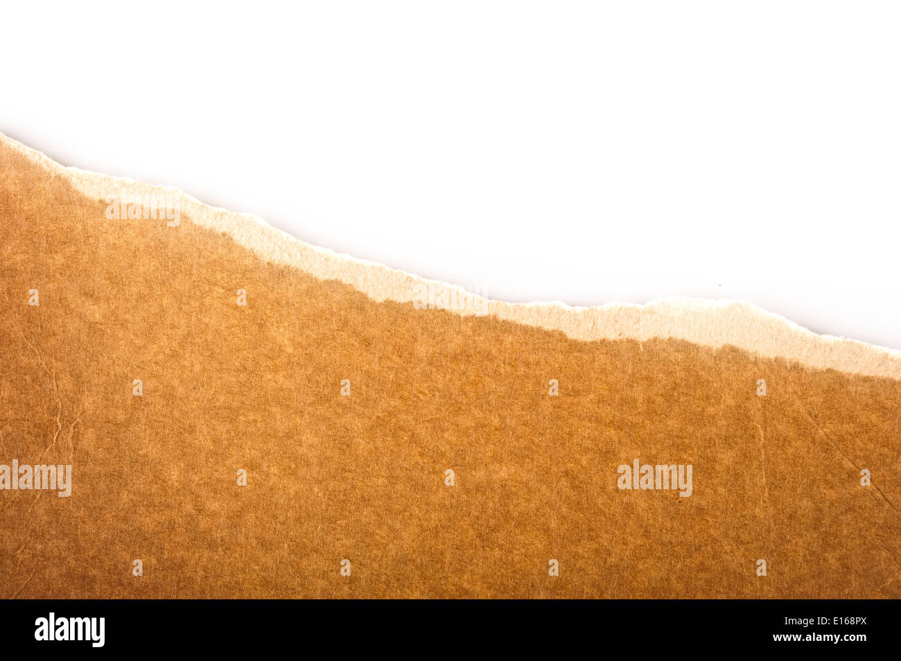 edge of a cardboard teared Stock Photo - Alamy