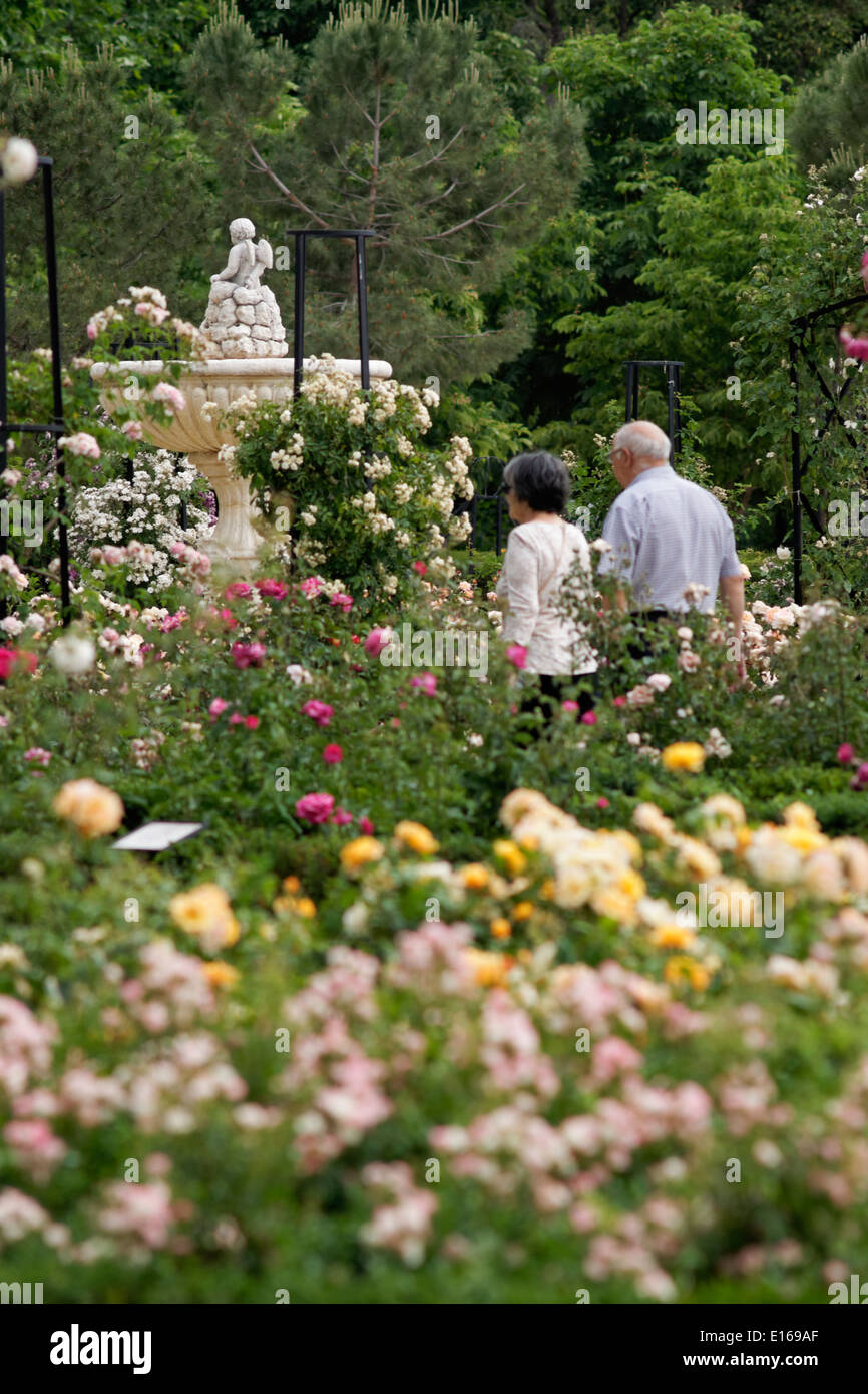 Retiro garden hi-res stock photography and images - Alamy