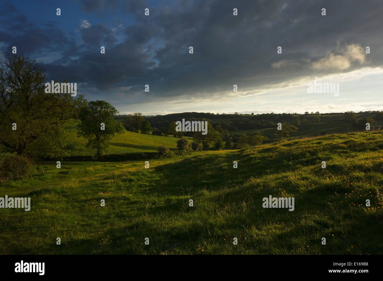 Rutland leicestershire hi-res stock photography and images - Alamy