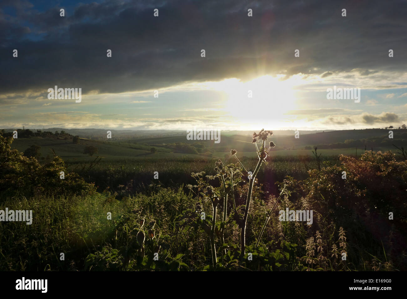 Rutland countryside hi-res stock photography and images - Alamy