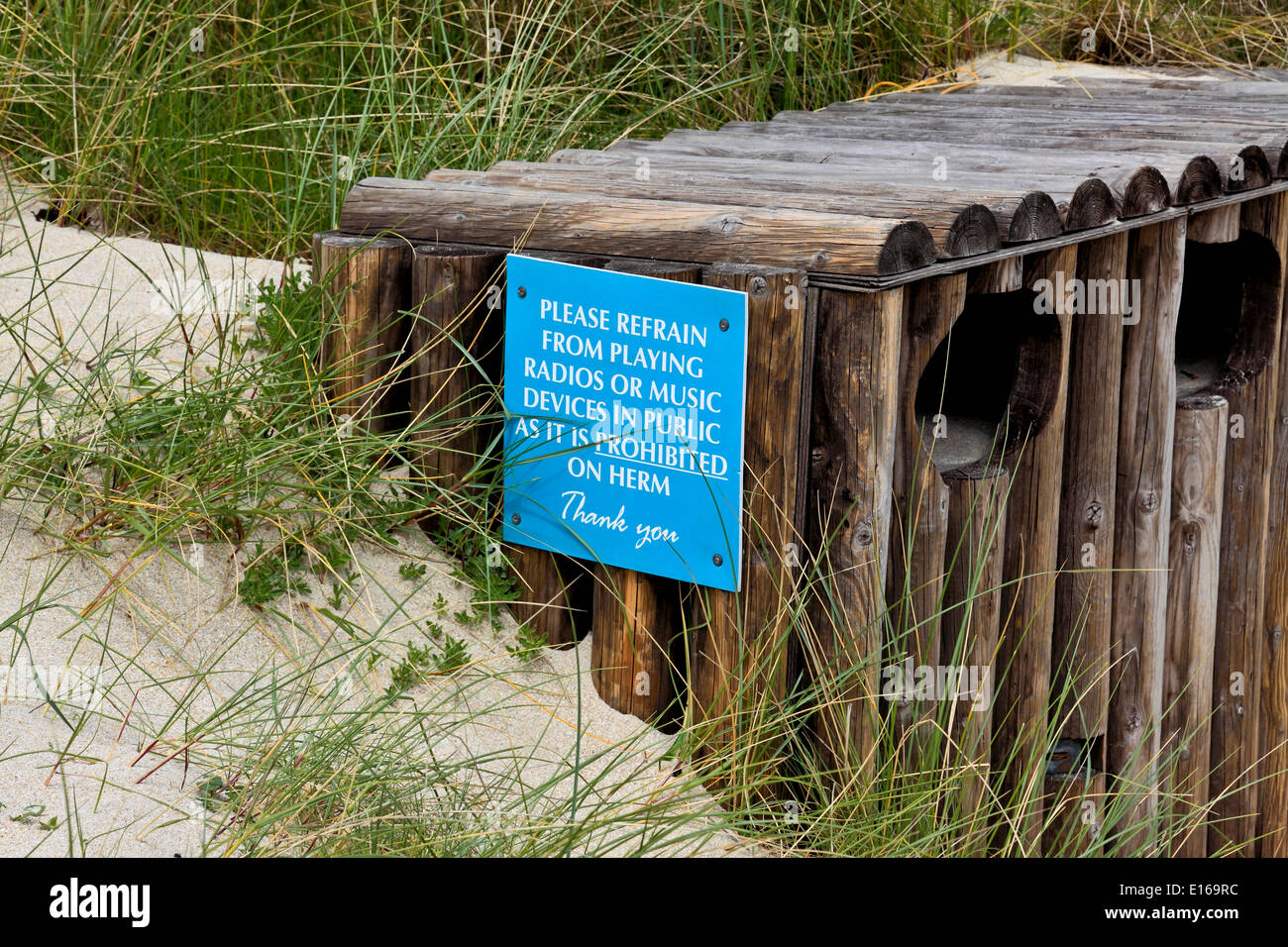 Beach shell uk hi-res stock photography and images - Alamy