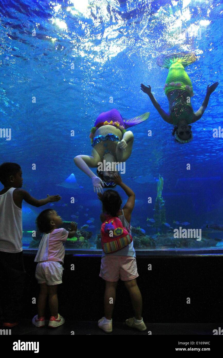 Manila, Philippines. 24th May, 2014. Swimmers dressed as mermaids greet ...