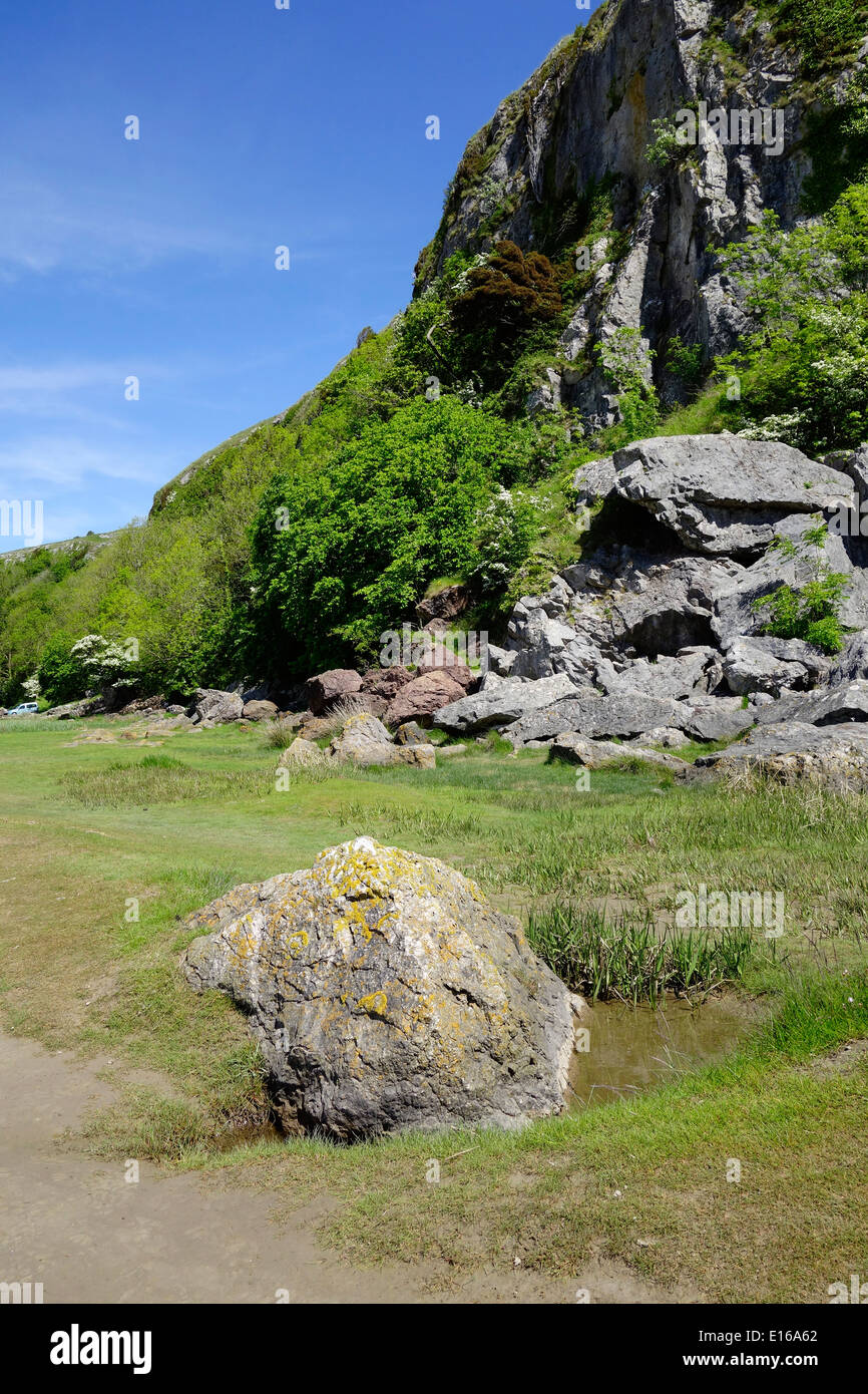 Humphrey Head Nature Reserve High Resolution Stock Photography and ...