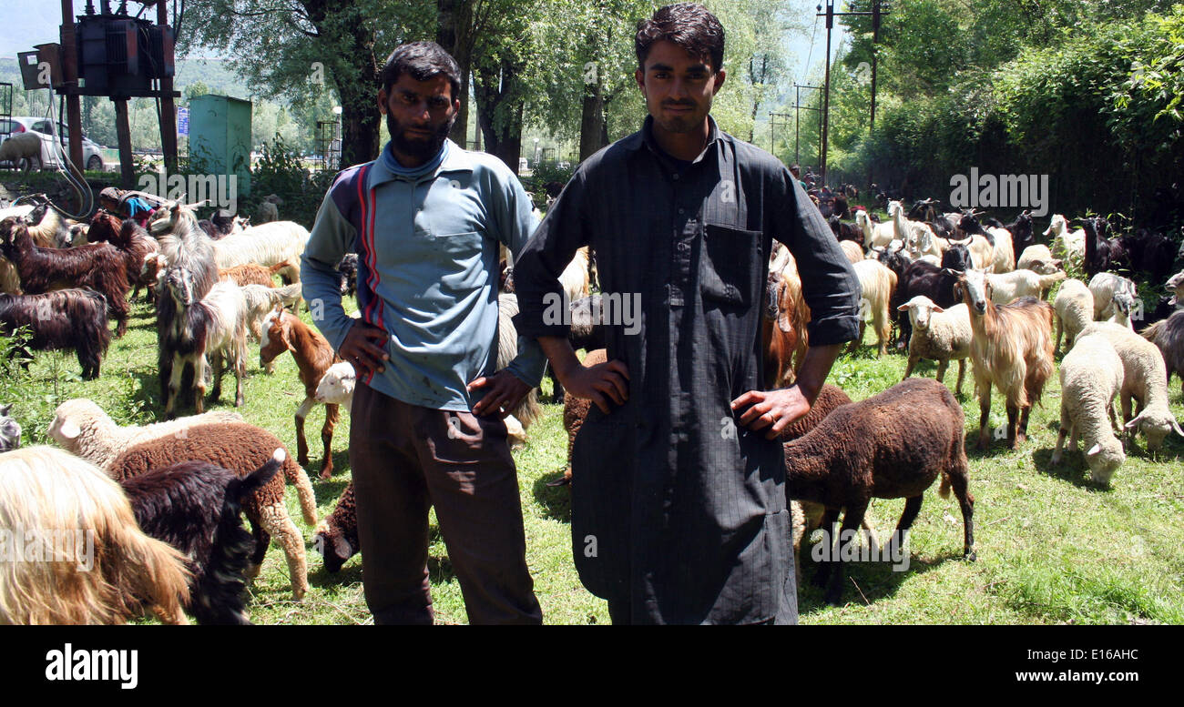 Bakarwal hi-res stock photography and images - Alamy
