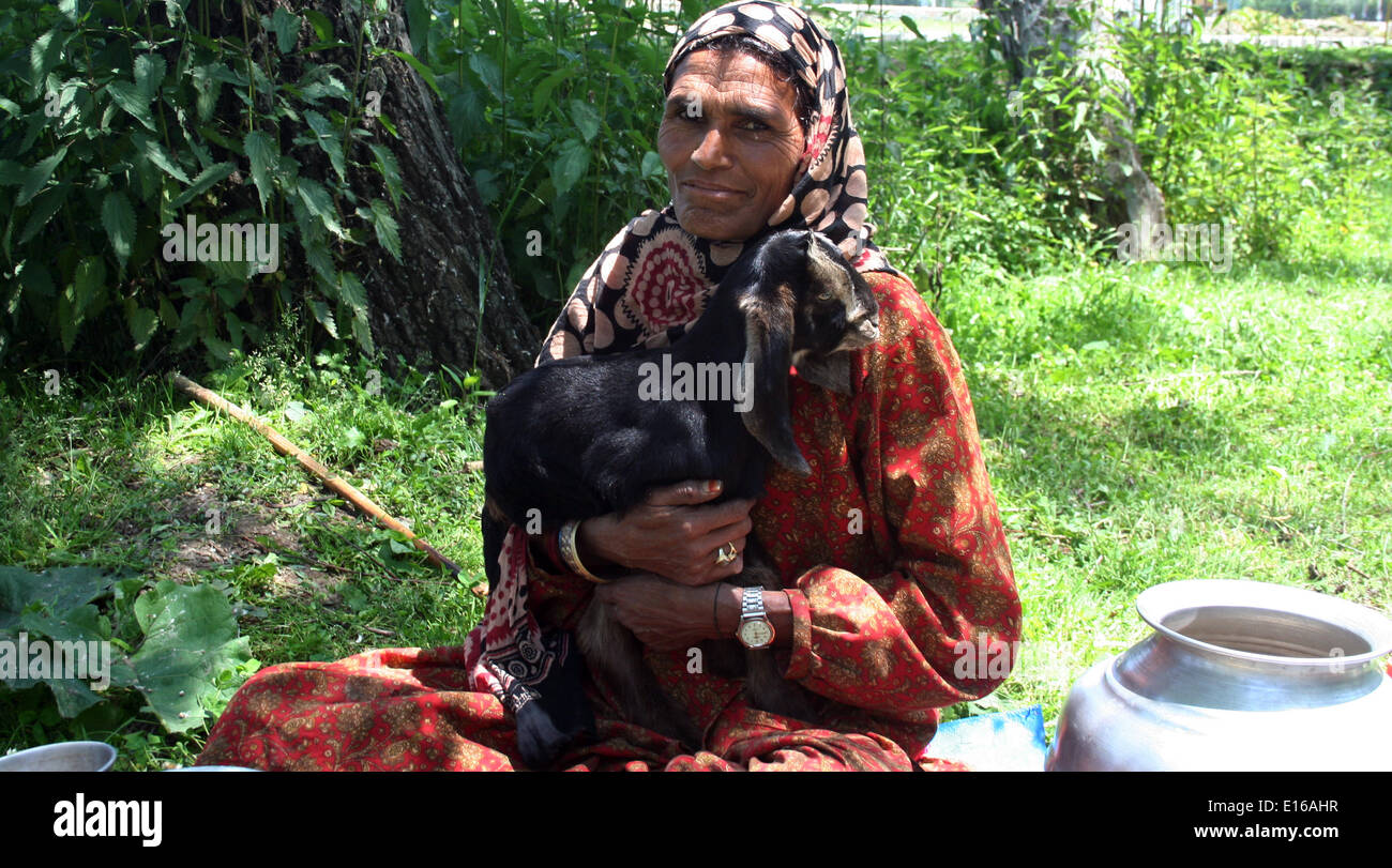 Srinagar, Indian Administered Kashmir. 24 May 2014 A Nomadic gujjar ...